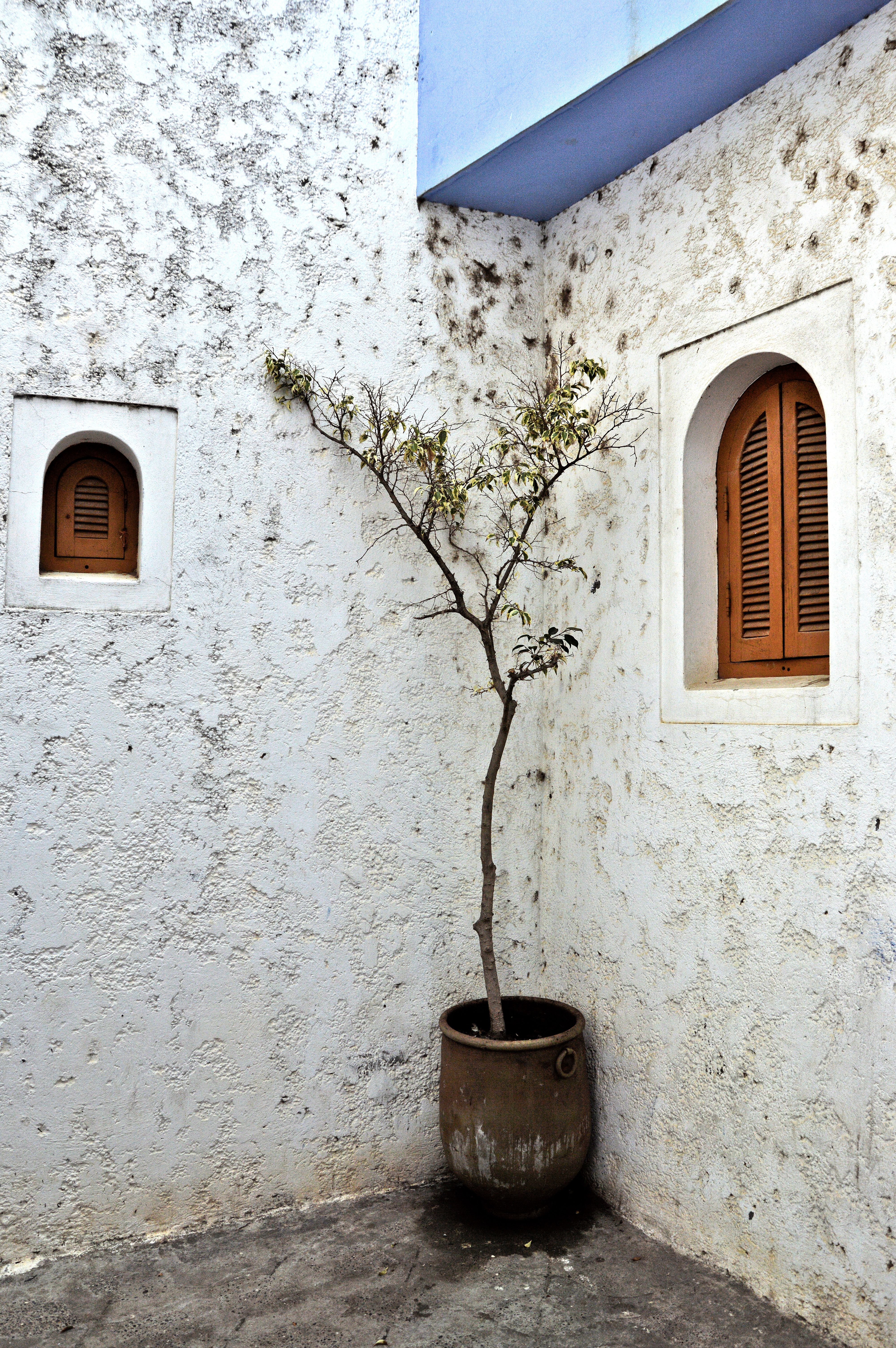 Charming Courtyard Corner in Asilah, Morocco · Free Stock Photo