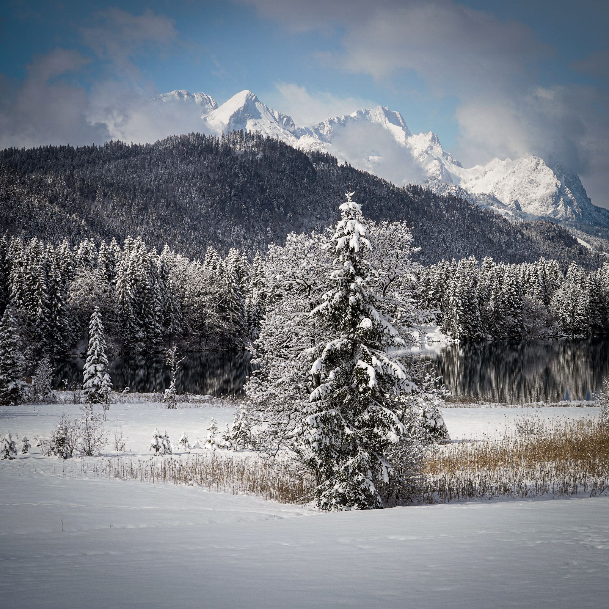 Stunning Snowy Landscape with Mountain View · Free Stock Photo