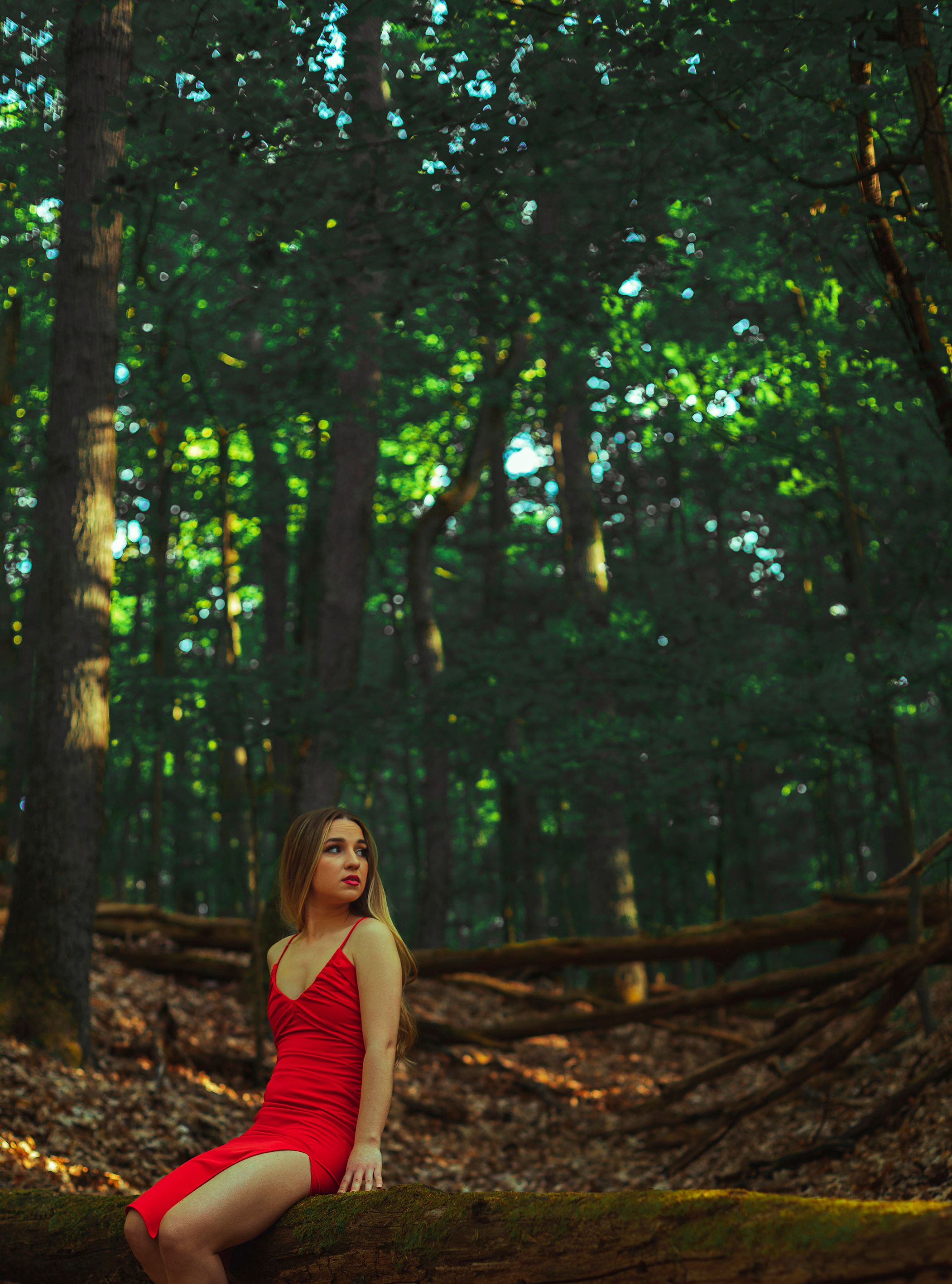 Woman in Red Dress Sitting in a Forest · Free Stock Photo