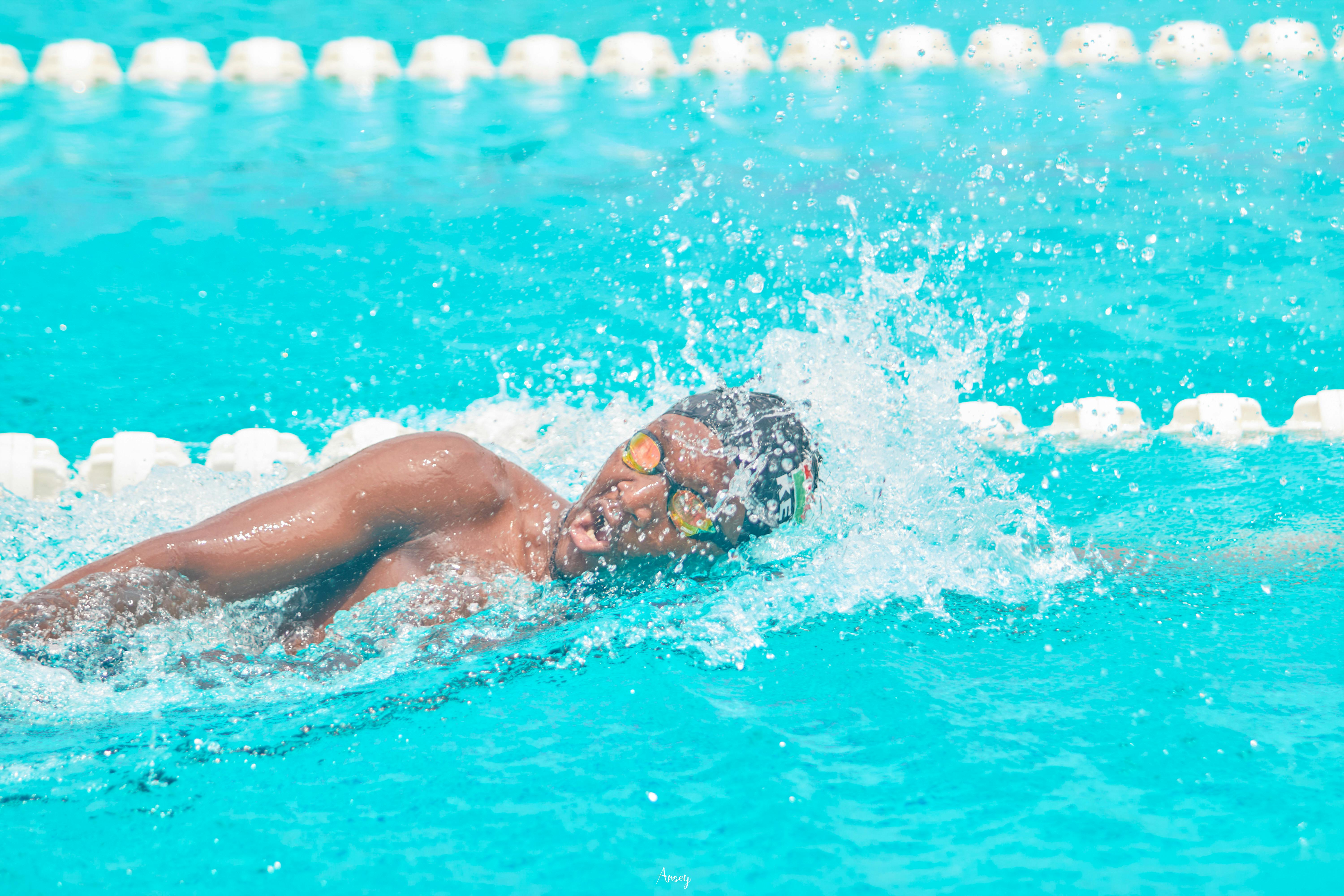 Race Swimming Pool Photos, Download The BEST Free Race Swimming Pool ...