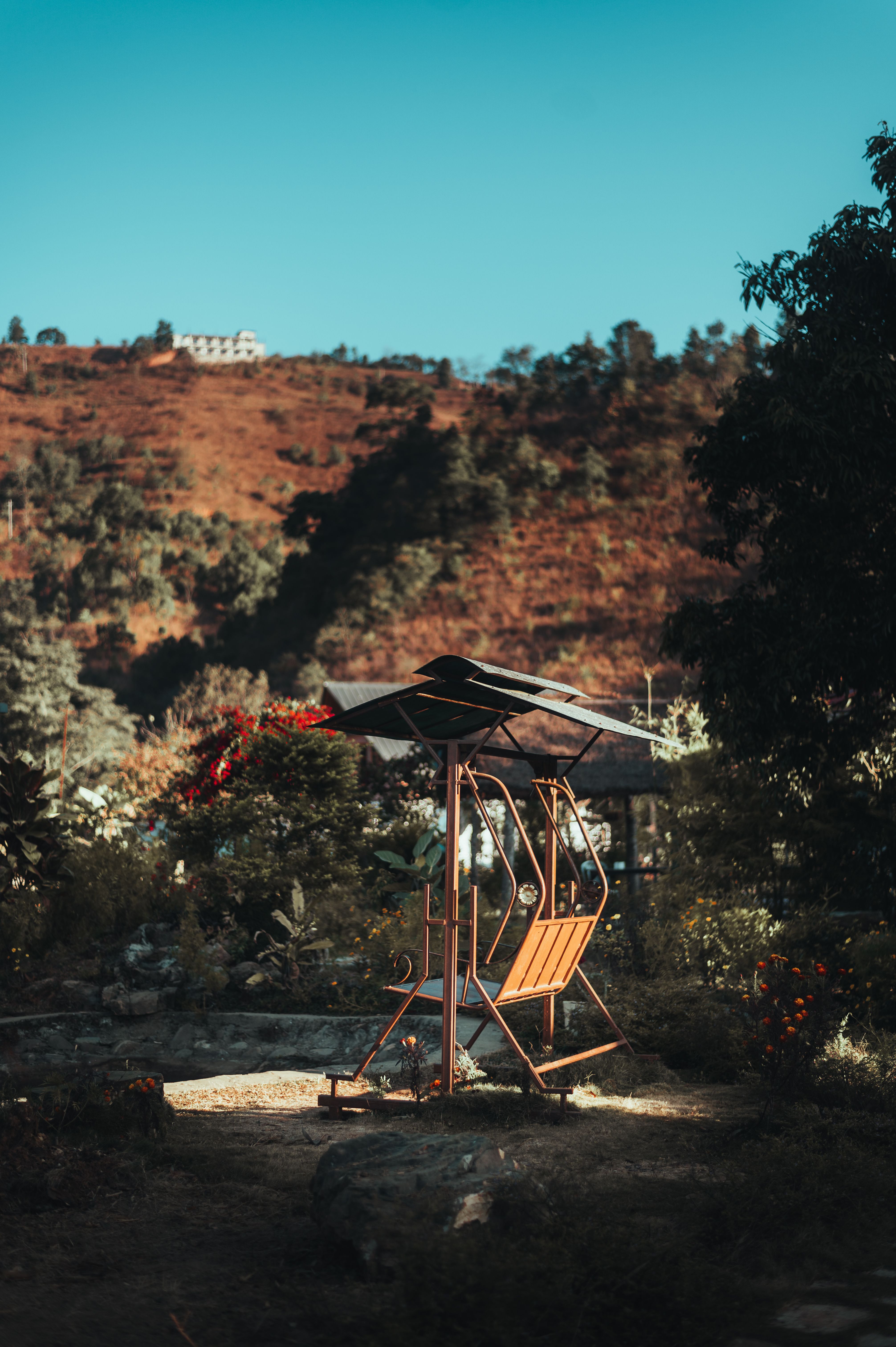 Tranquil Outdoor Swing in Scenic Nature Setting · Free Stock Photo