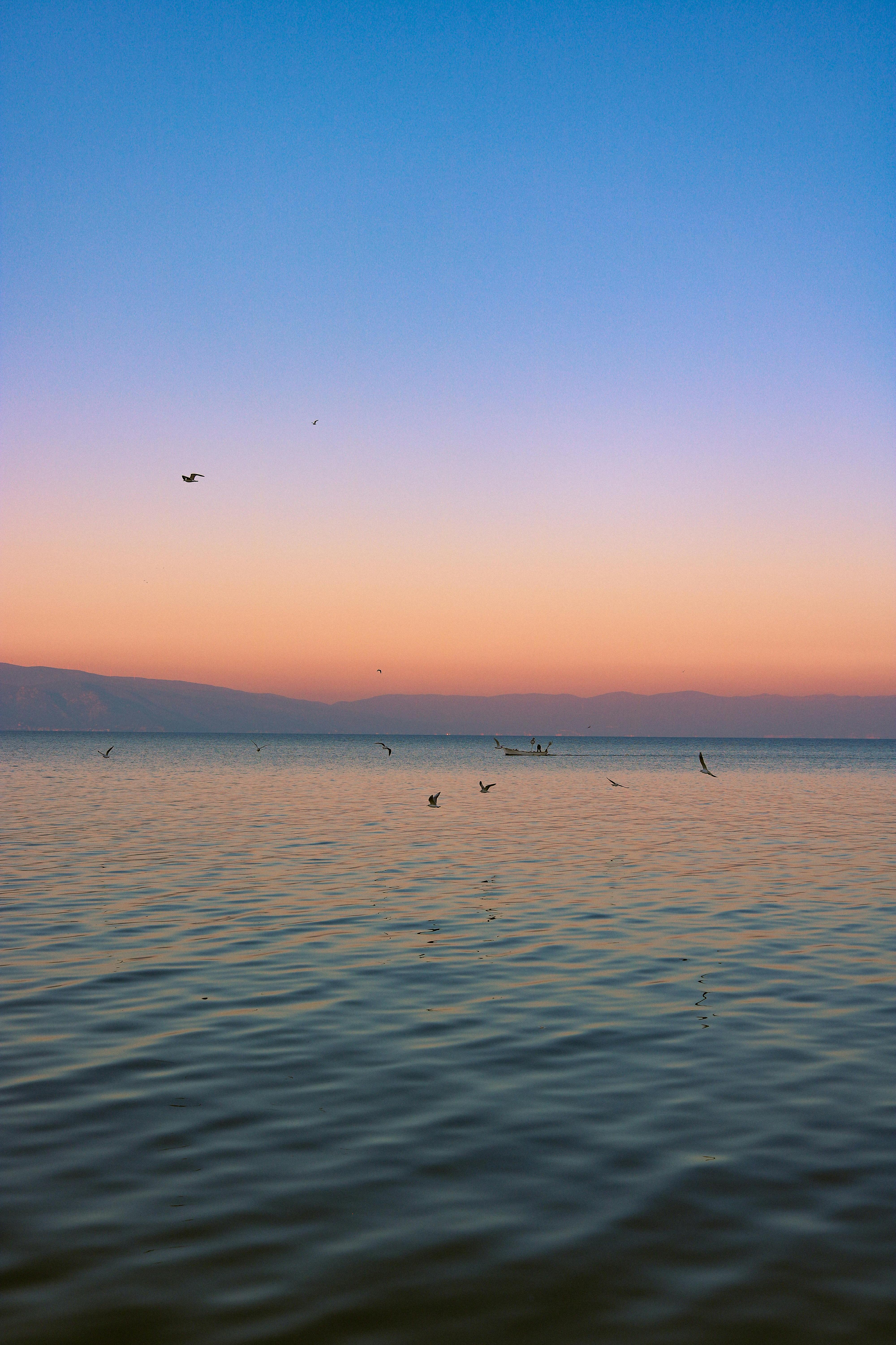 Tranquil Sunset over Calm Waters with Birds · Free Stock Photo