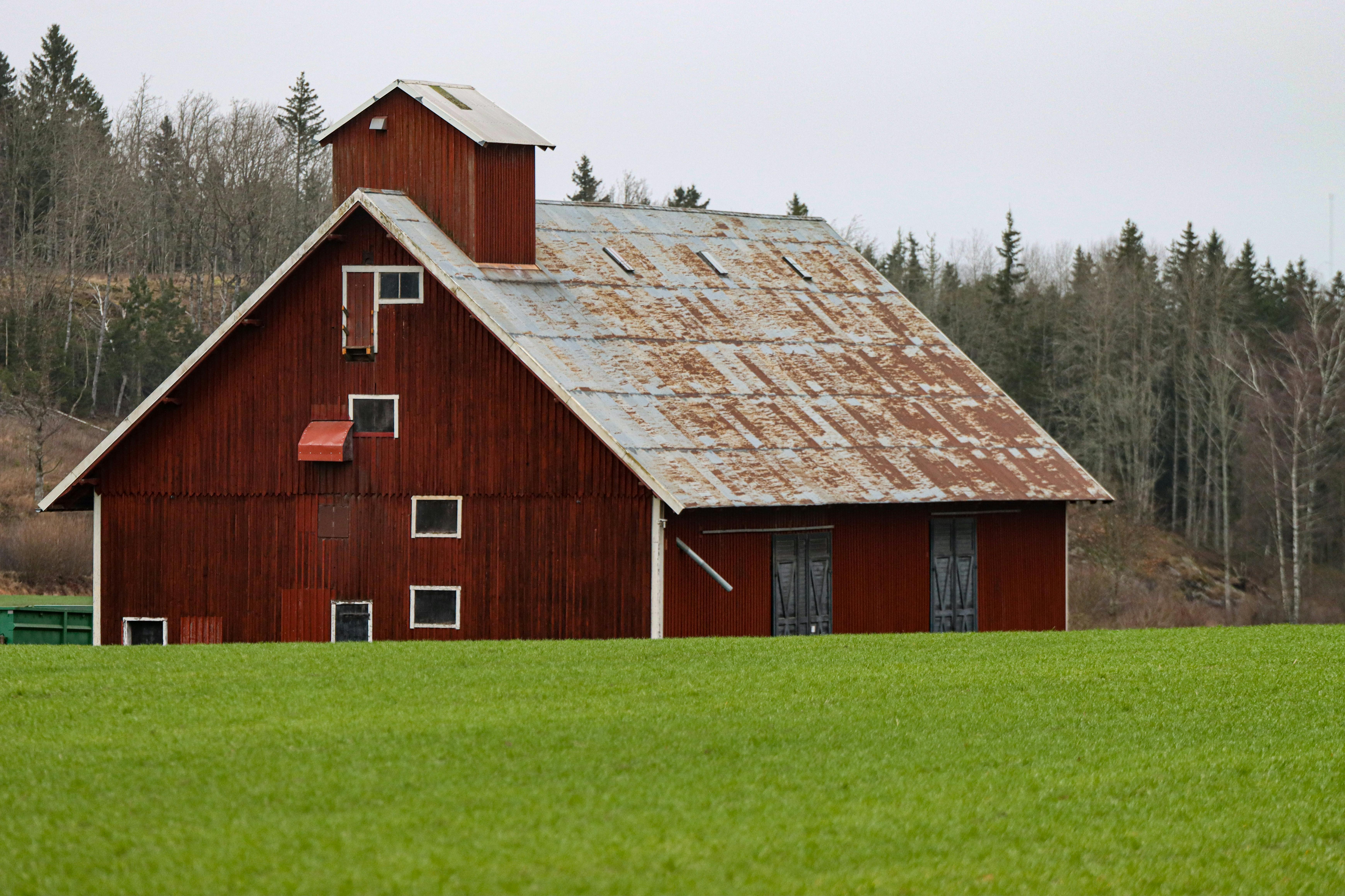 Classic Red Barn in Scenic Countryside Setting · Free Stock Photo