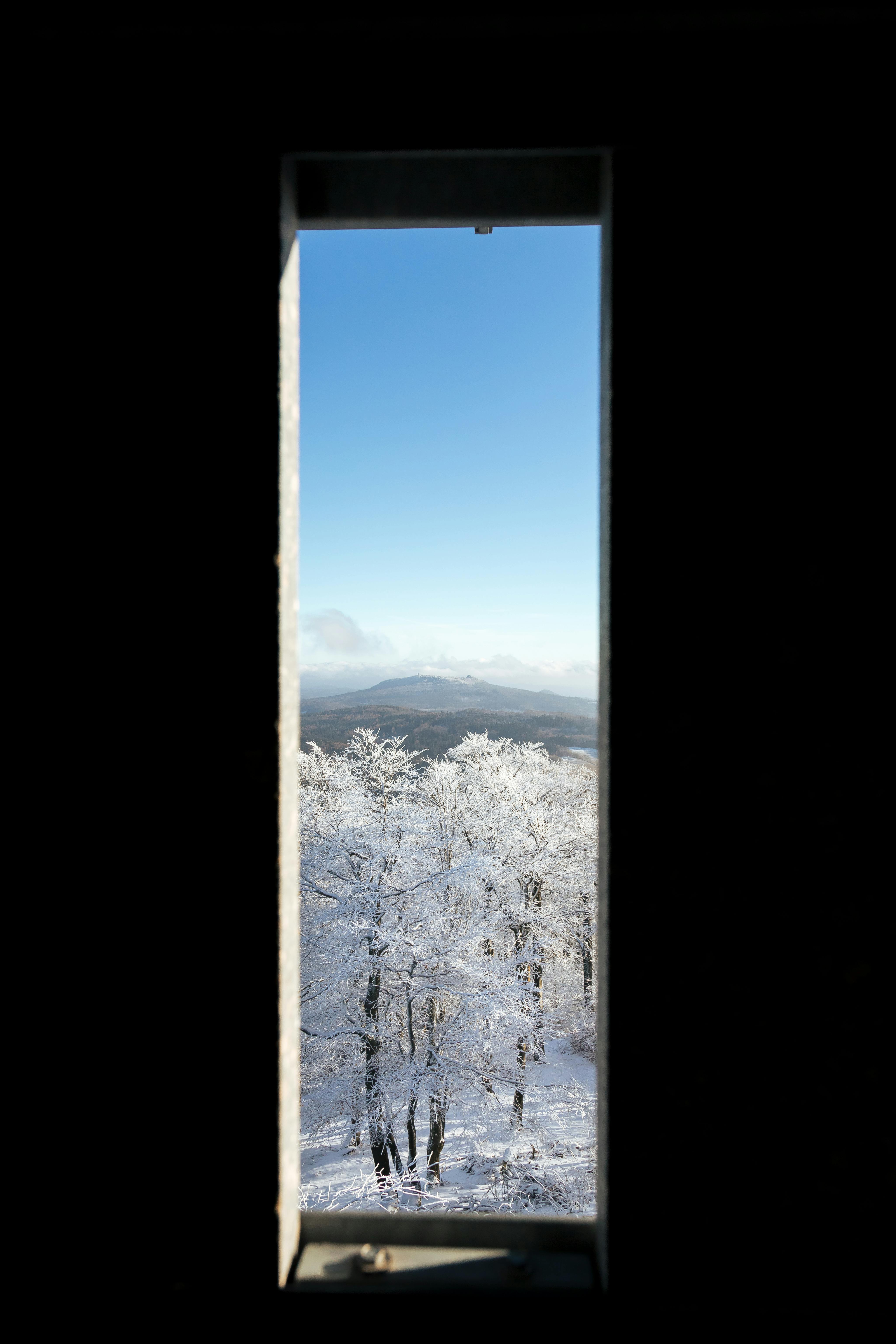 Scenic Winter Forest View Through a Window · Free Stock Photo