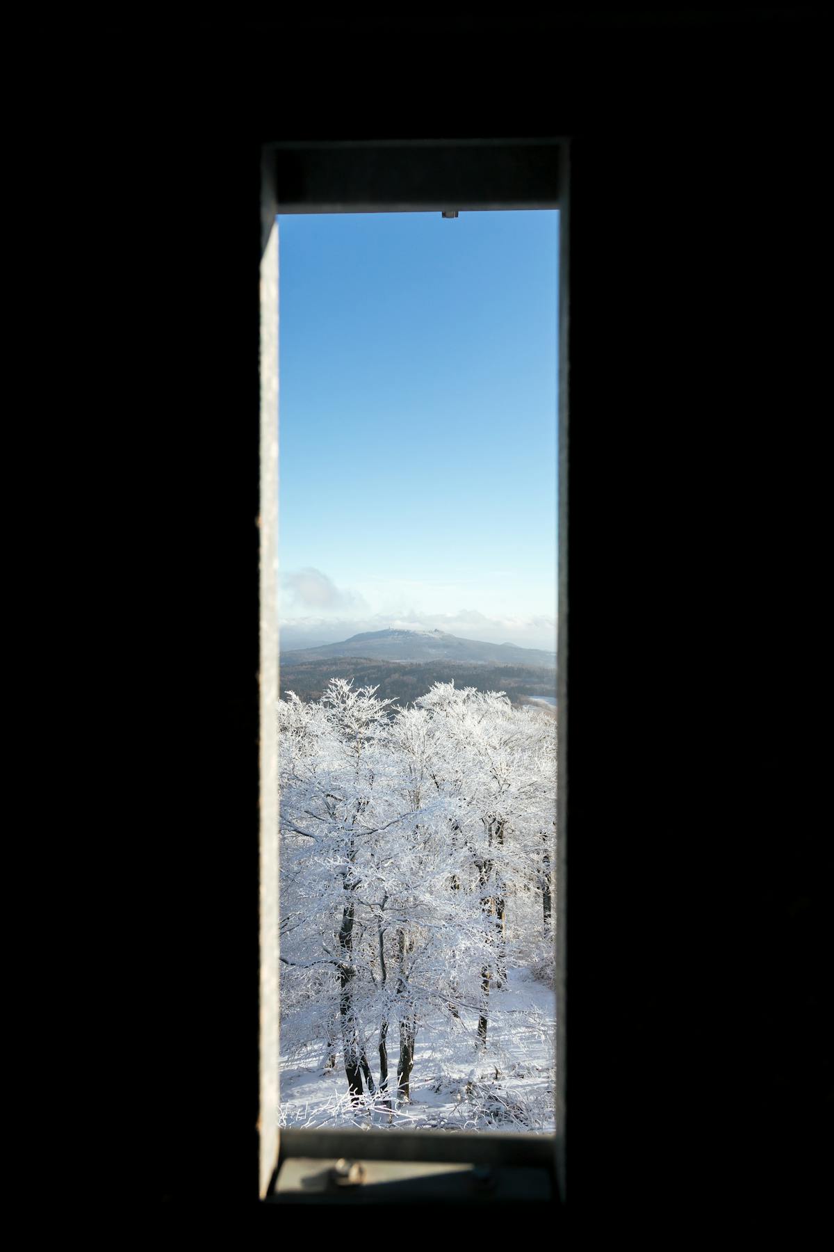 Forest View Photos, Download The BEST Free Forest View Stock Photos ...