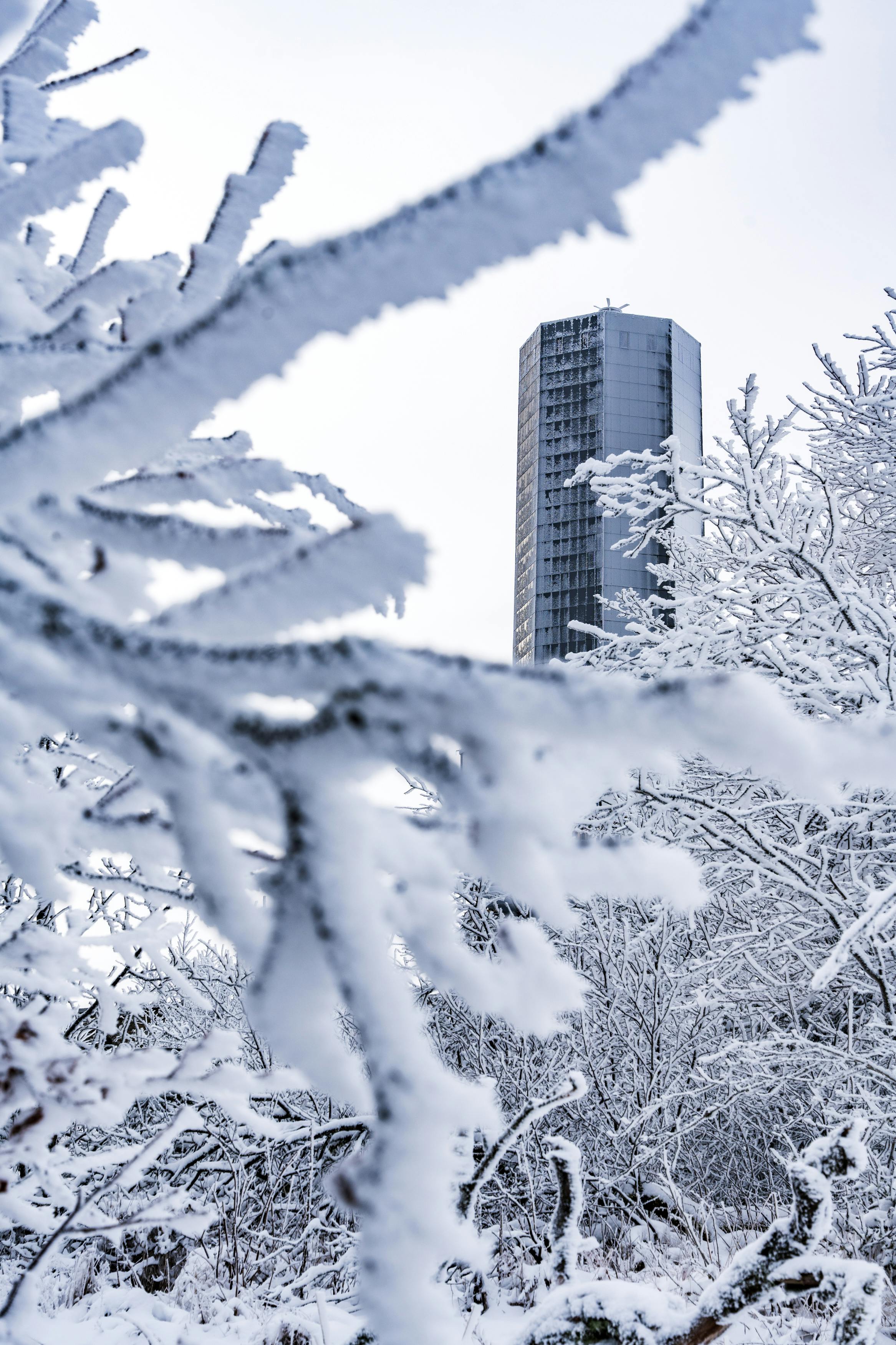 Snow-covered Urban Landscape with Towering Building · Free Stock Photo
