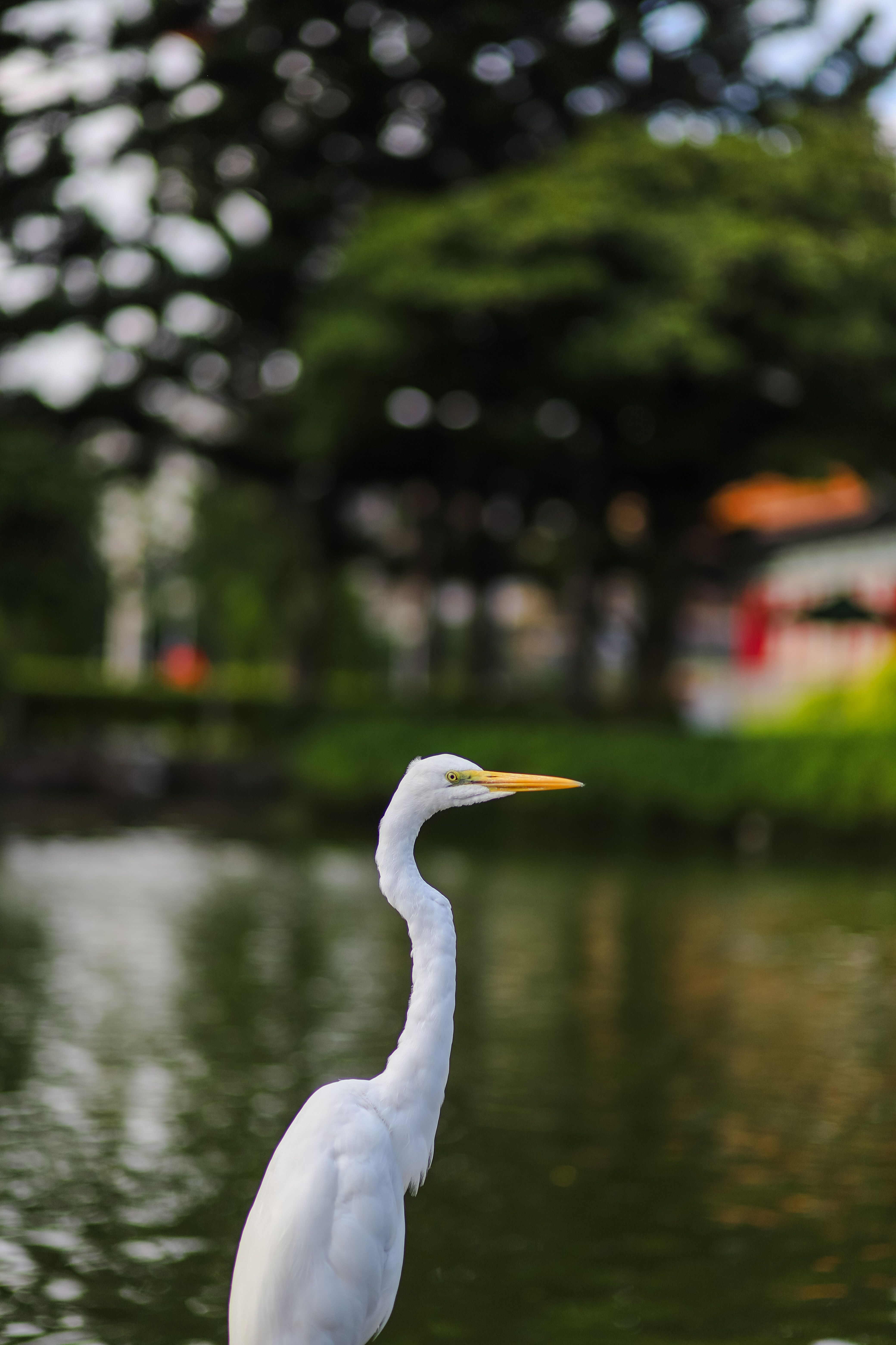 Background Foreground Photos, Download The BEST Free Background ...