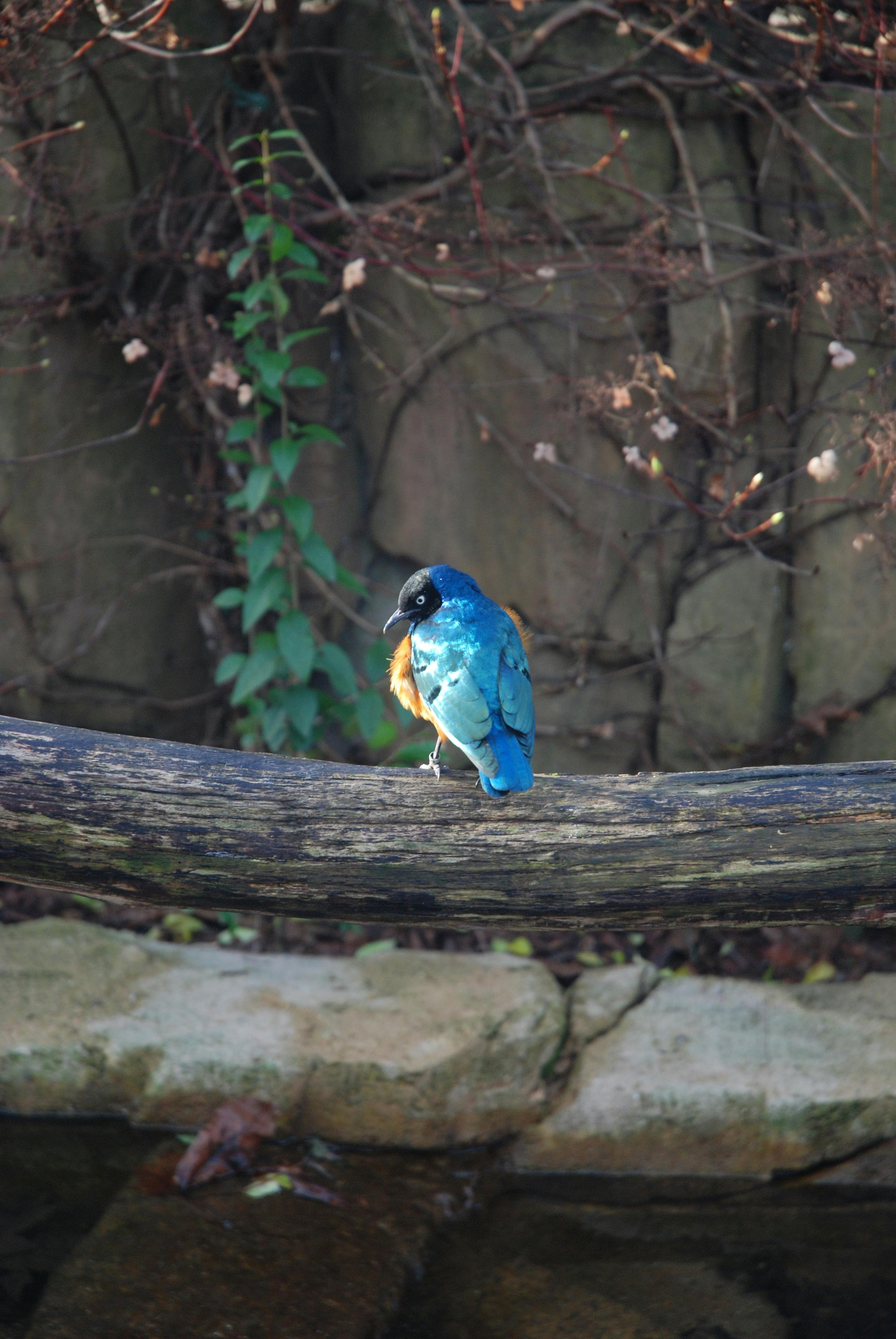 K8s Features Photos, Download The BEST Free K8s Features Stock Photos ...