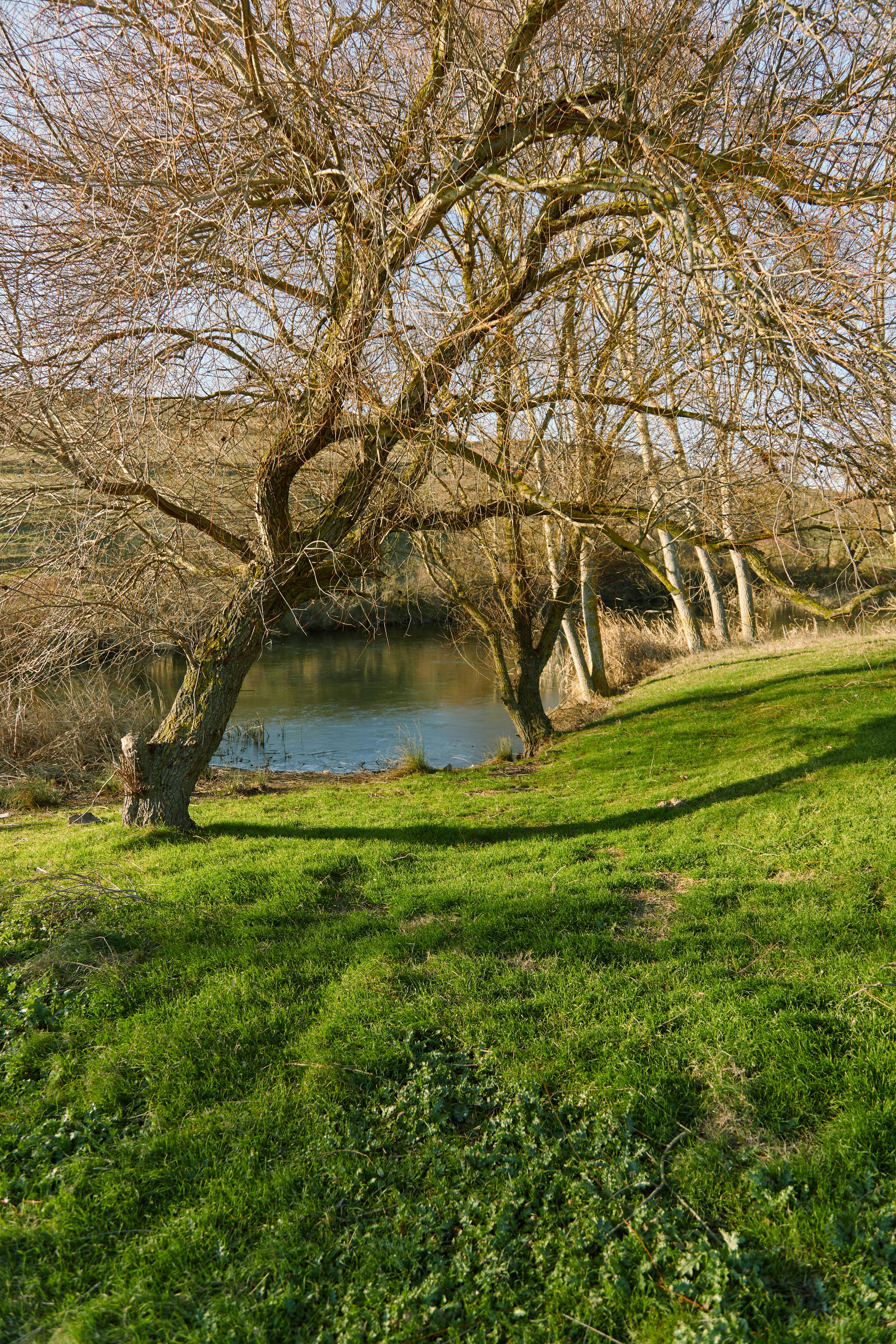 Waterfront Garden Photos, Download The BEST Free Waterfront Garden ...