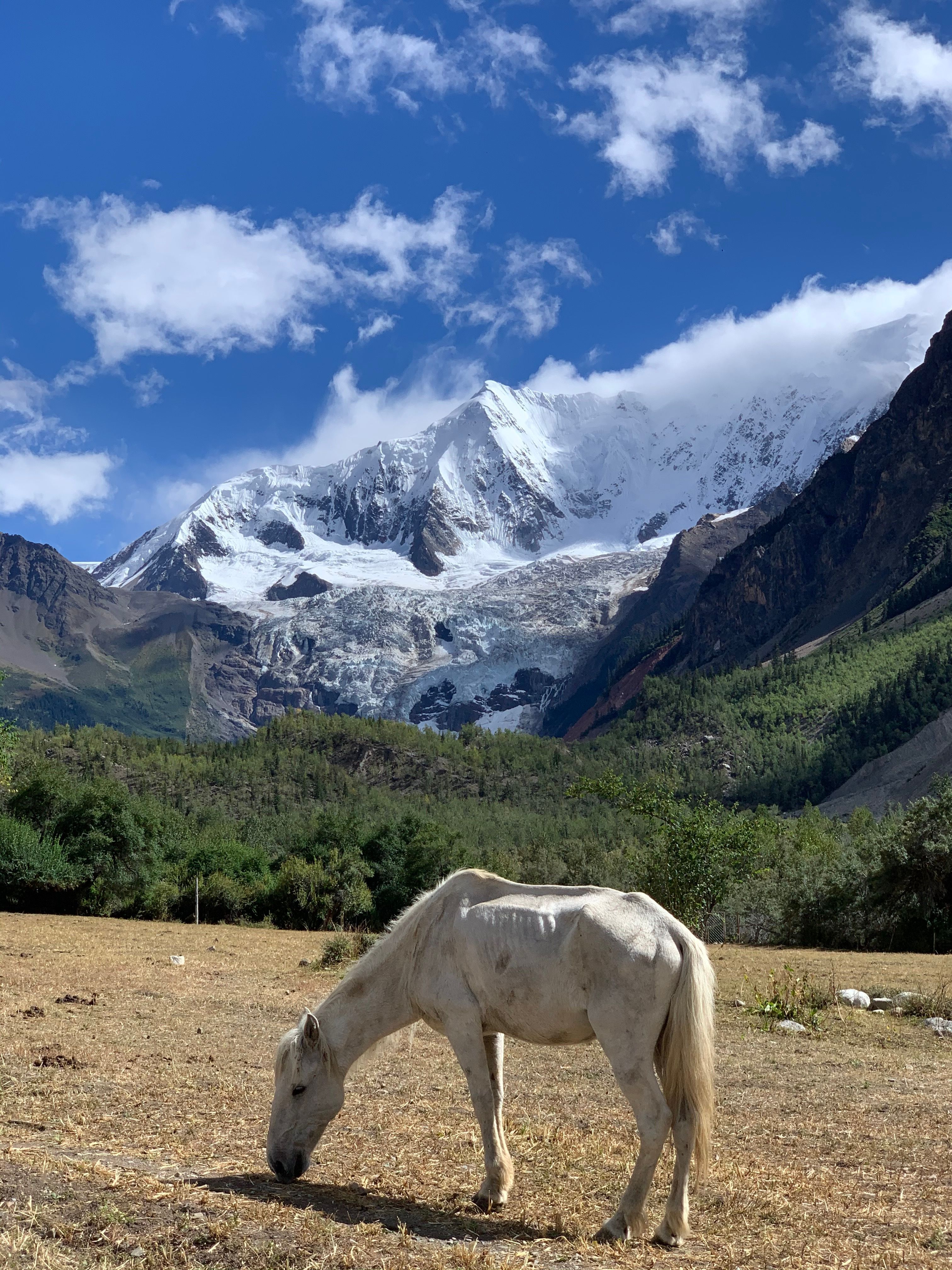 Apprentice Mongolia Photos, Download The BEST Free Apprentice Mongolia ...