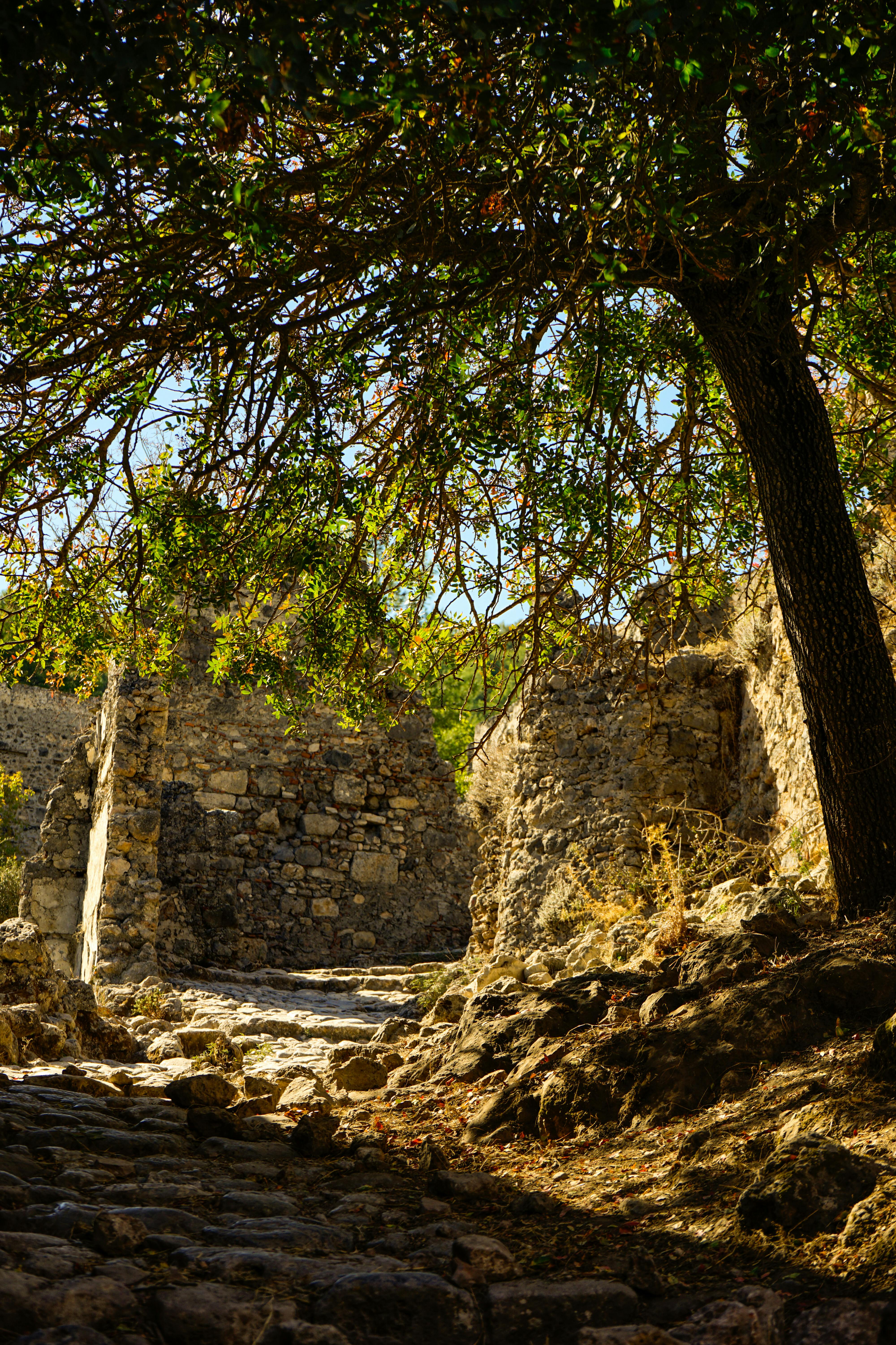 Past. Photos, Download The BEST Free Past. Stock Photos & HD Images