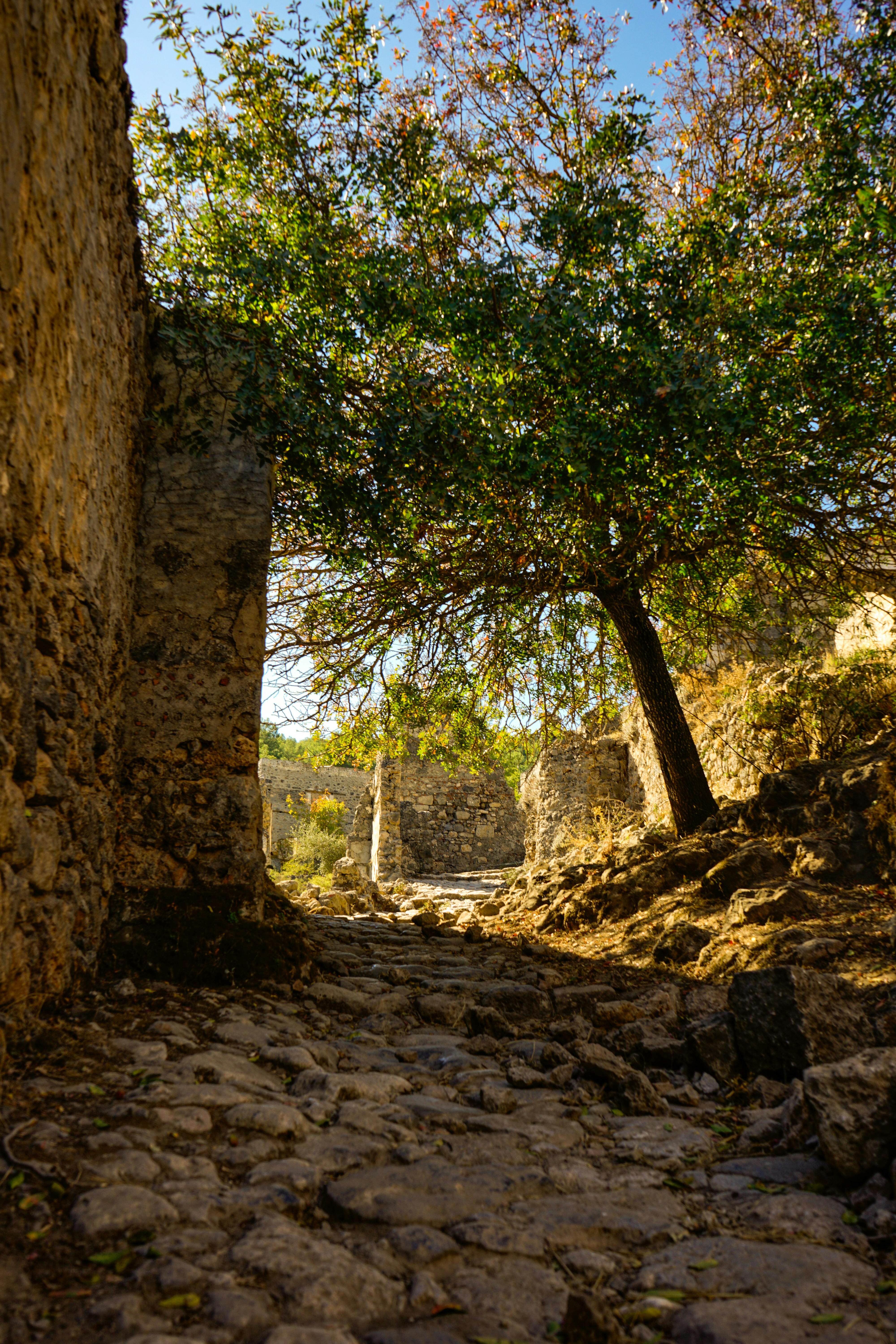 Ancient Ruins and Pathway in Kayaköy, Türkiye · Free Stock Photo