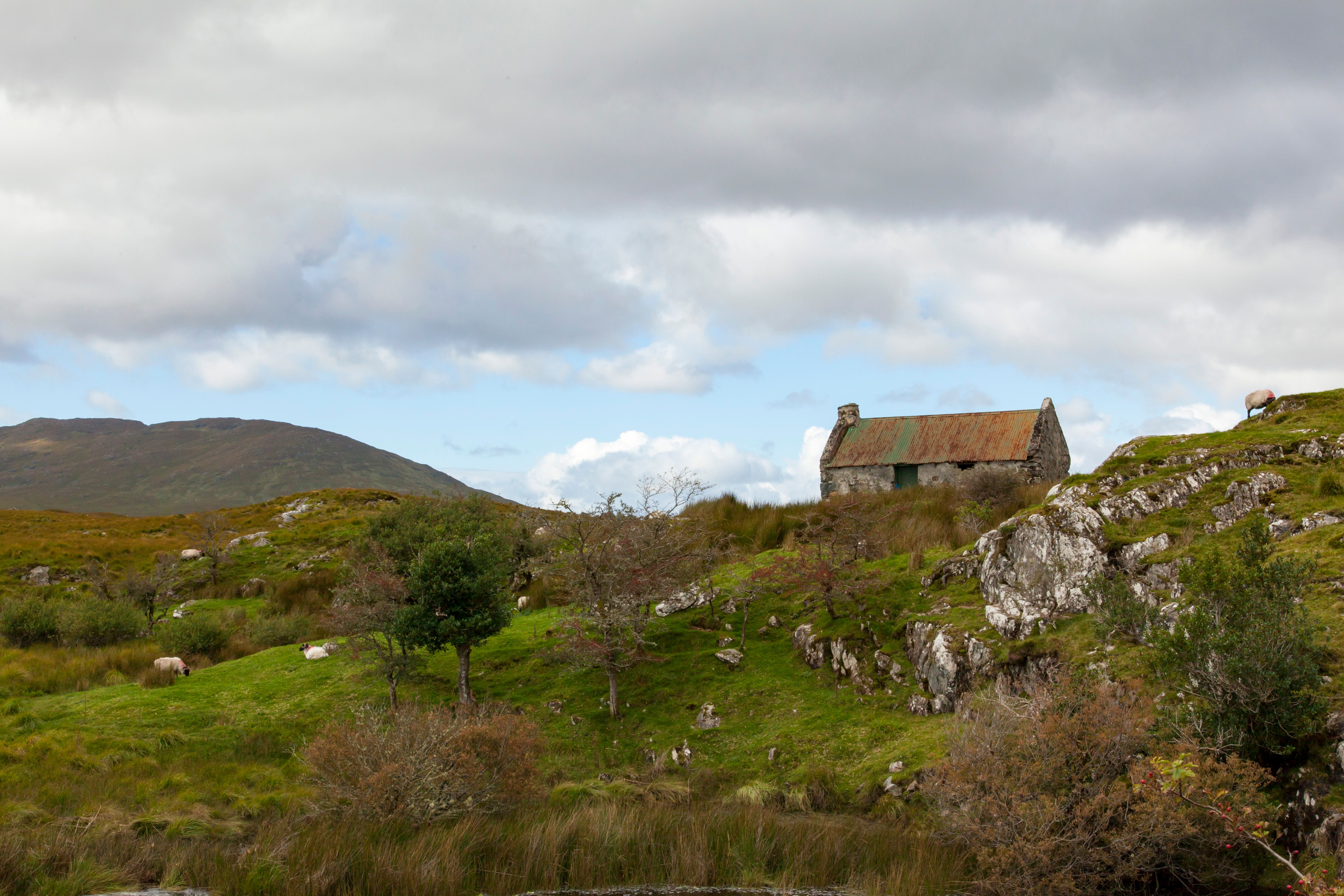 Idyllic Countryside Cottage in Irish Landscape · Free Stock Photo