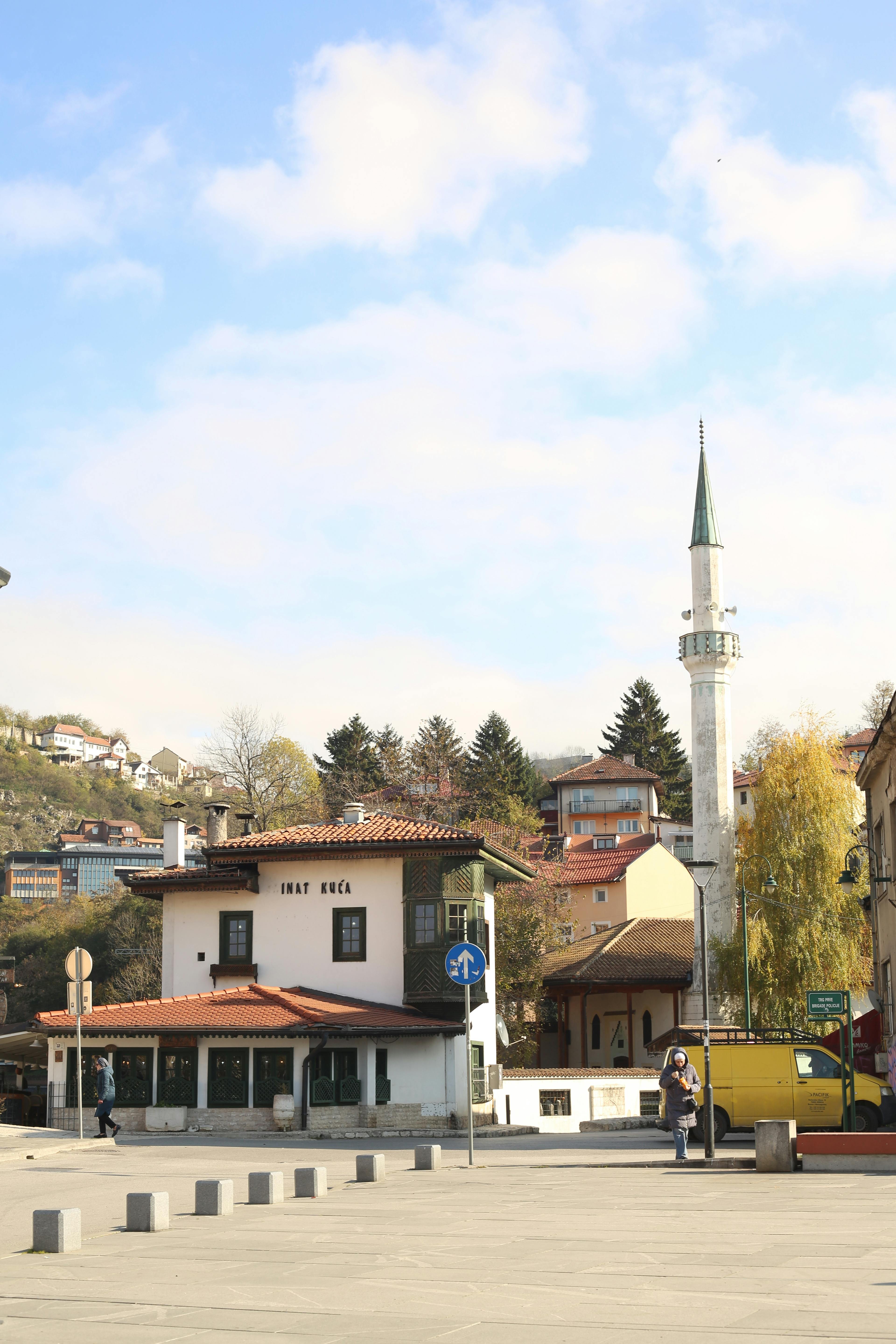 Inat Photos, Download The BEST Free Inat Stock Photos & HD Images