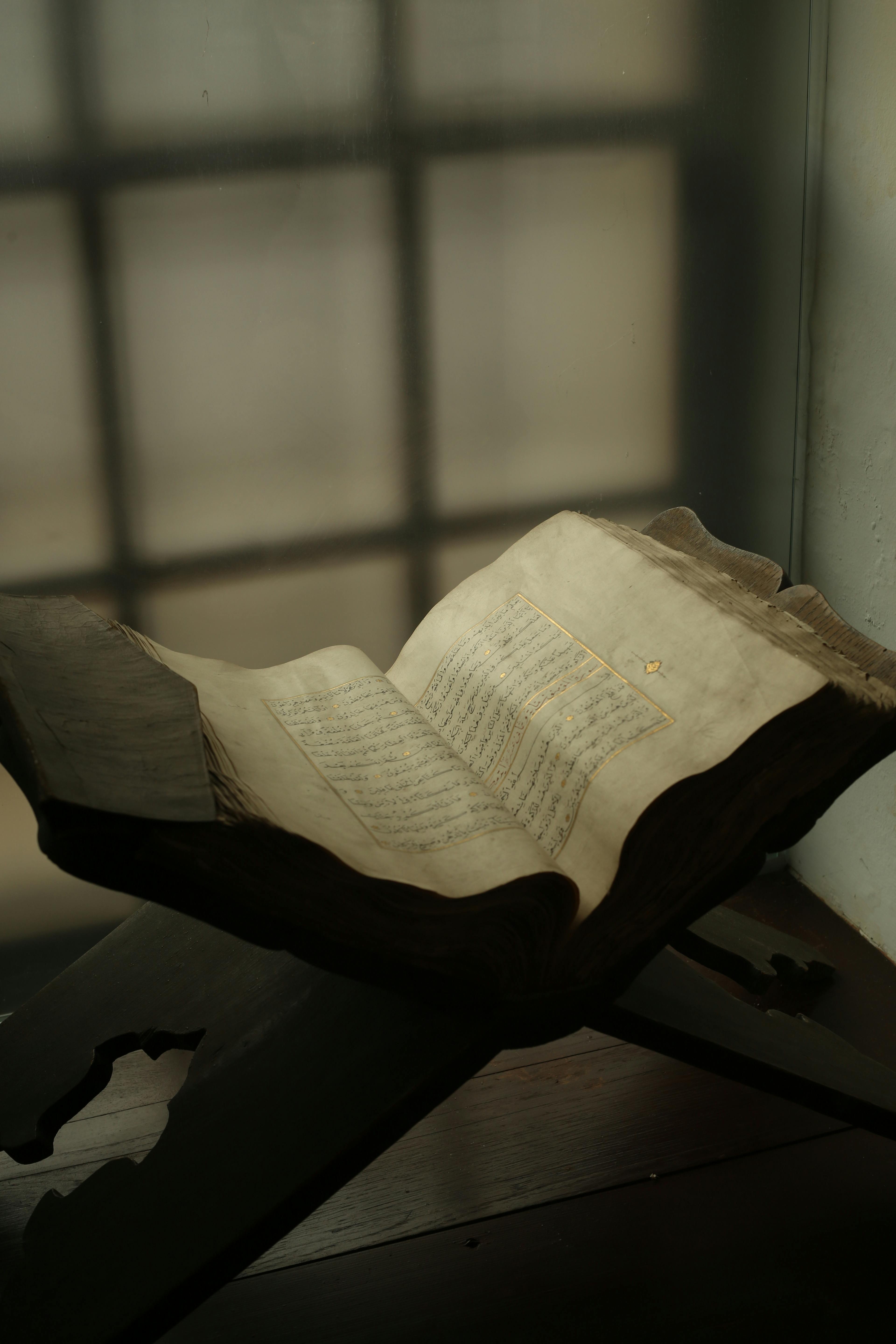 Wisdom Photos, Download The BEST Free Wisdom Stock Photos & HD Images