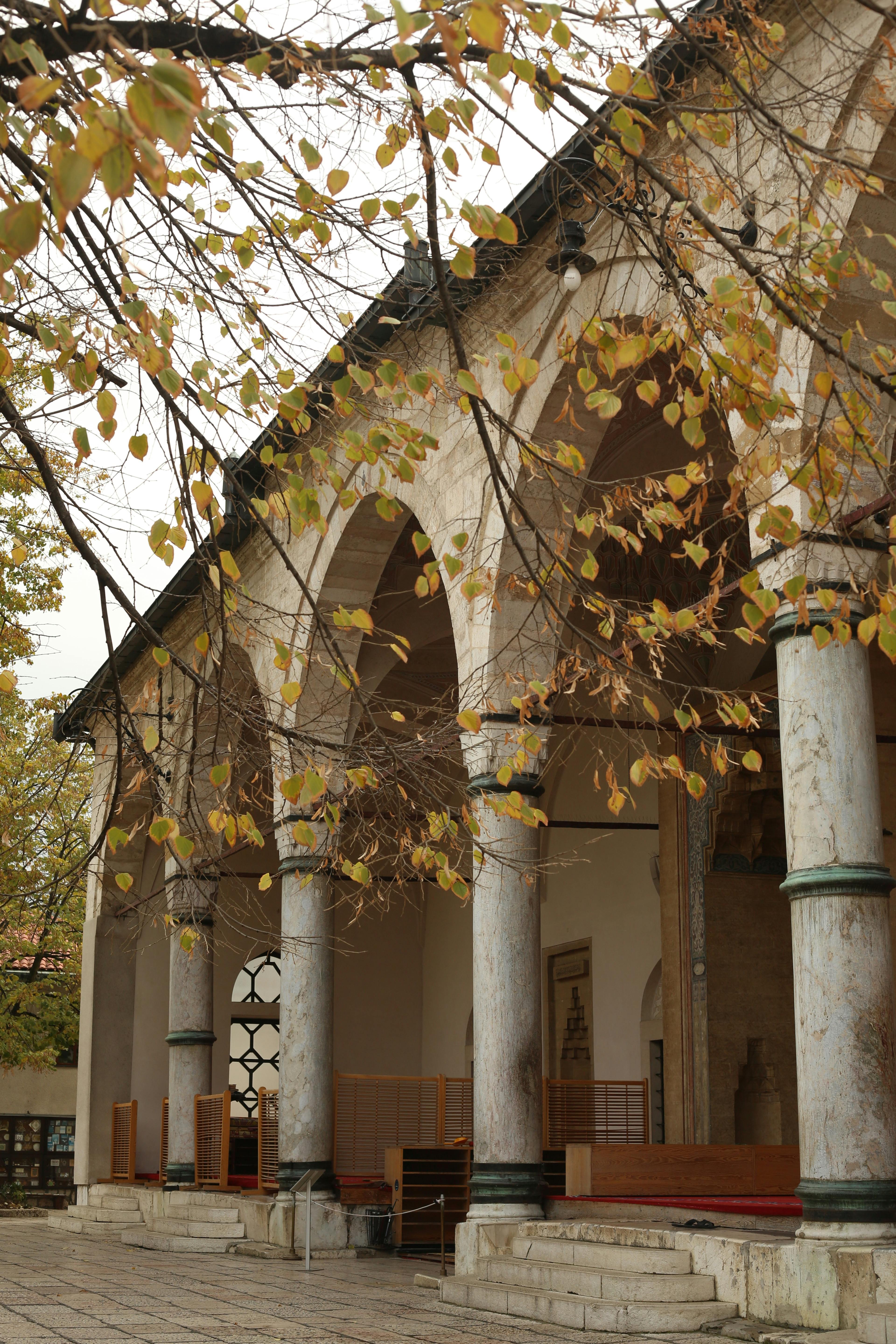 Natural Mosque Photos, Download The BEST Free Natural Mosque Stock ...