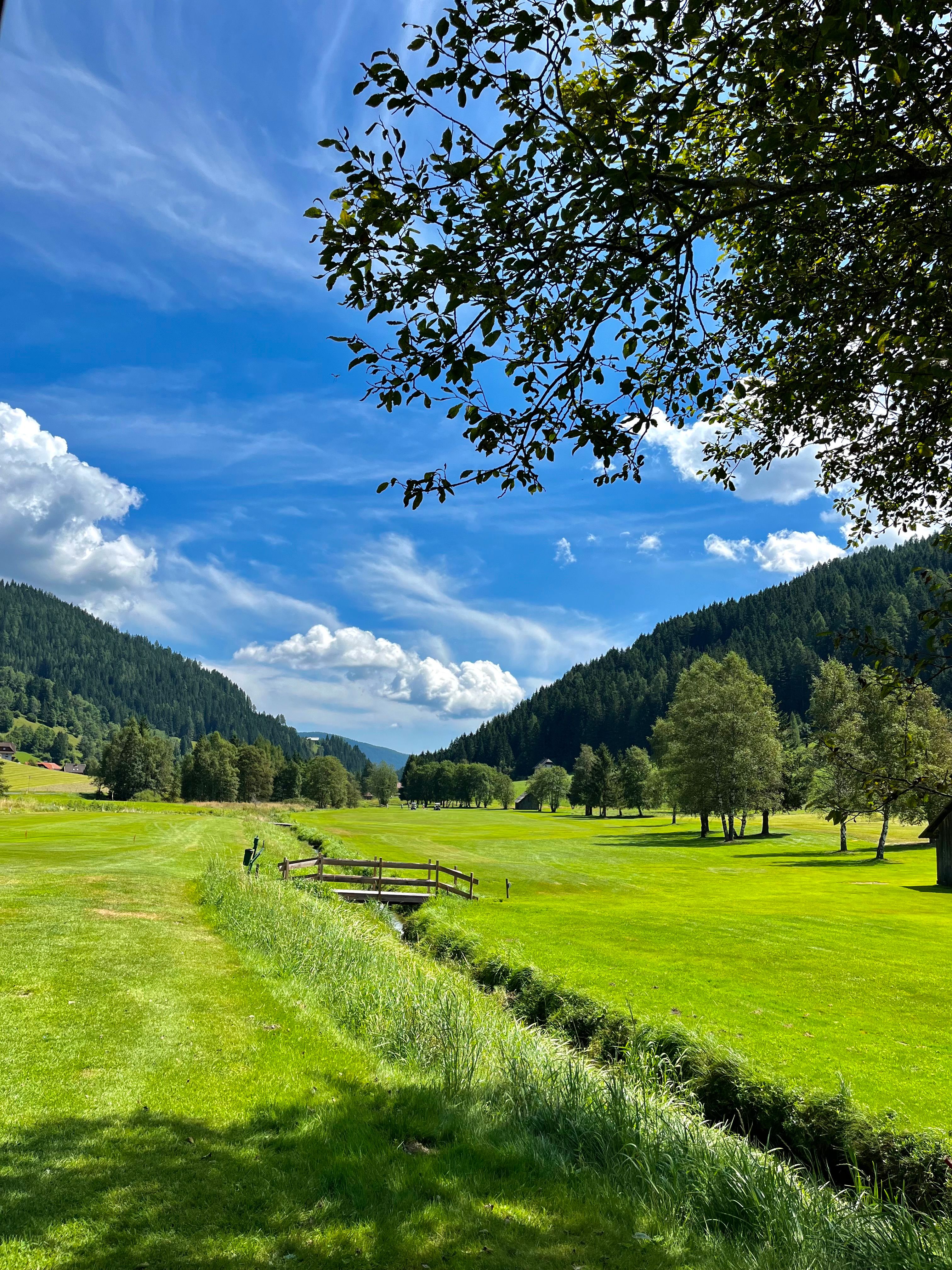 Serene Summer Landscape with Vibrant Green Fields · Free Stock Photo