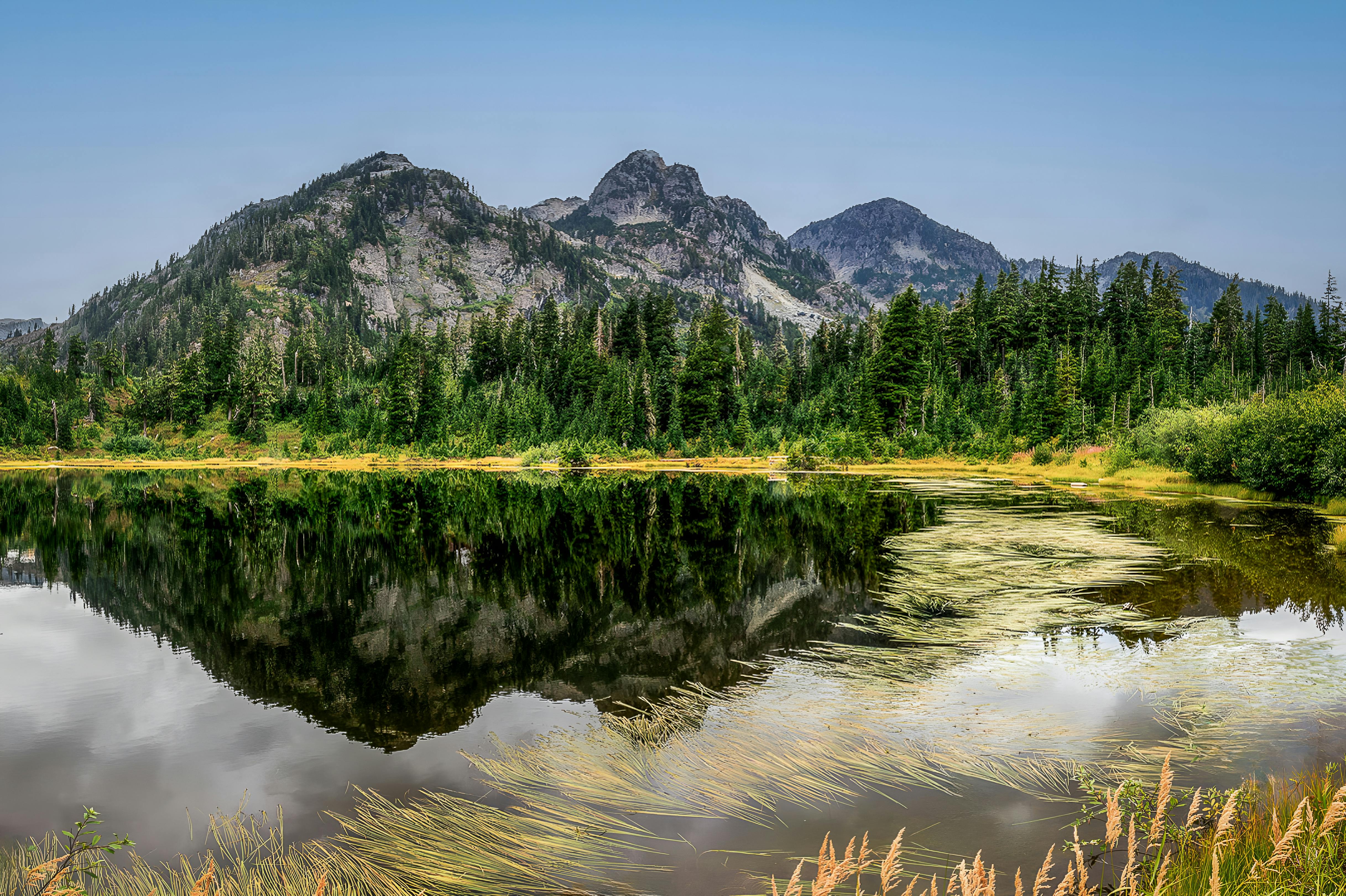 Washington Rural Photos, Download The BEST Free Washington Rural Stock ...