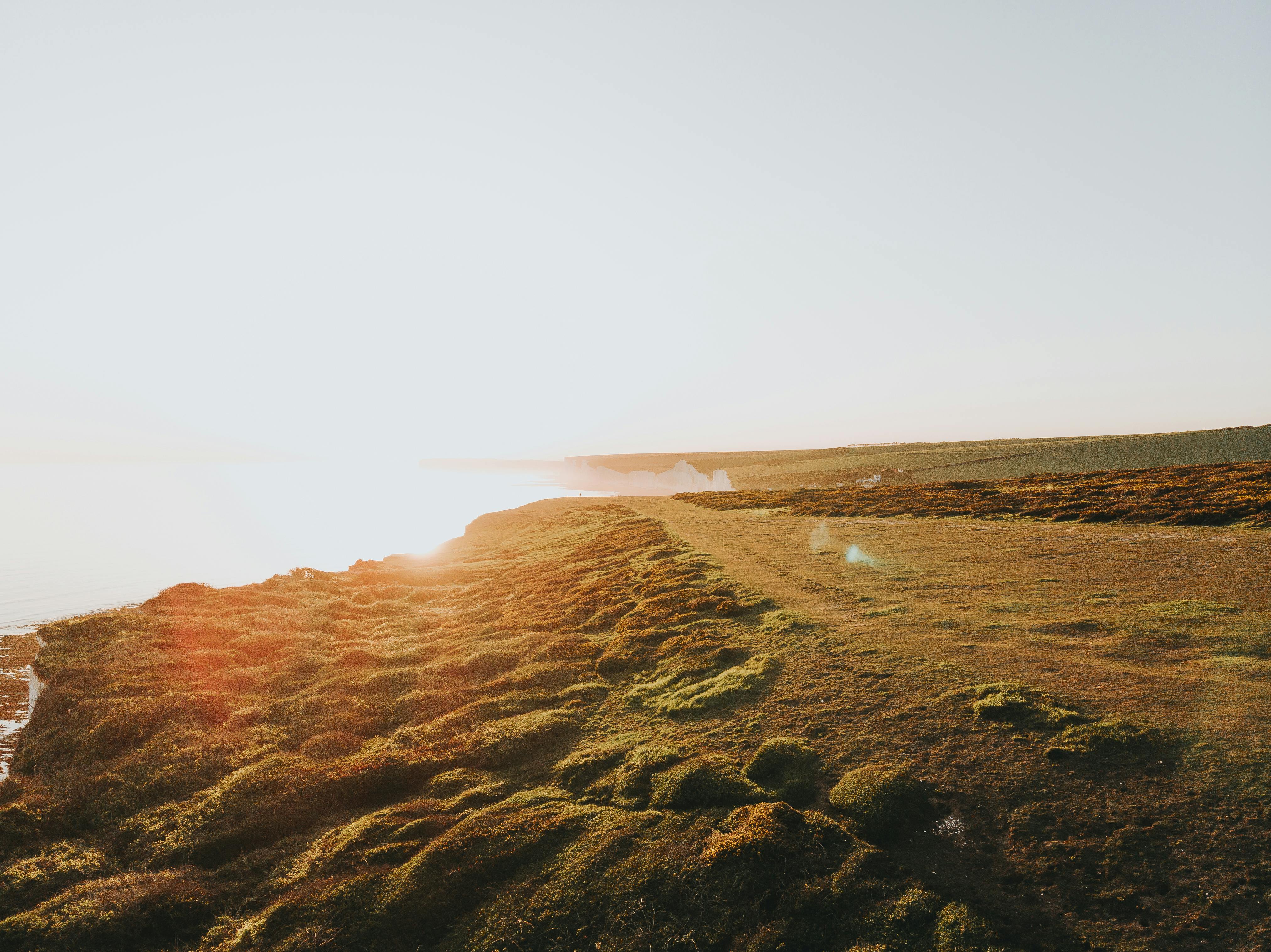 Photo of Grassland · Free Stock Photo