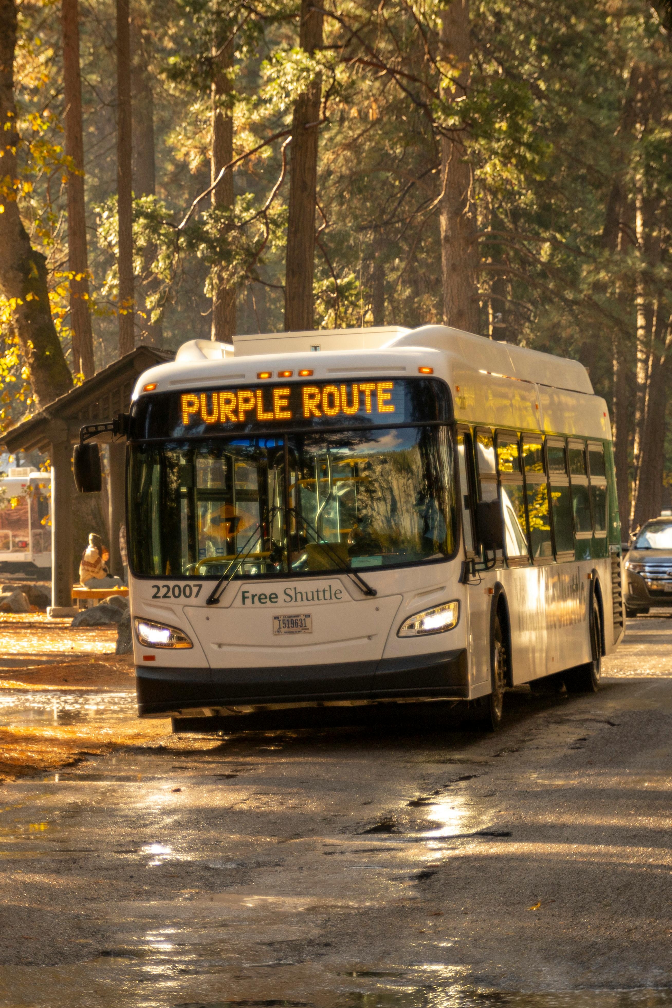 Free Shuttle Bus on Purple Route in Forest · Free Stock Photo