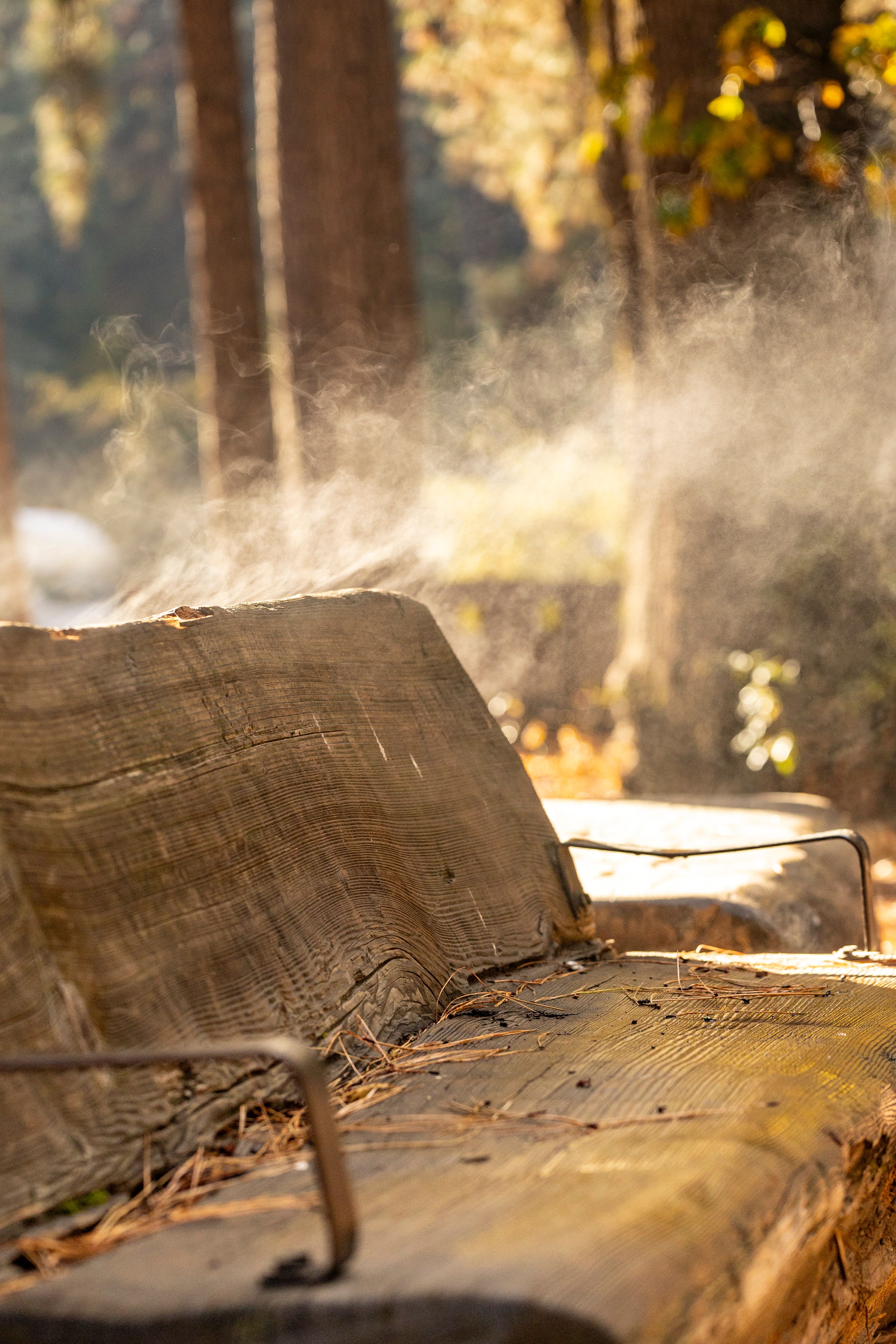 Steam Nature Photos, Download The BEST Free Steam Nature Stock Photos ...