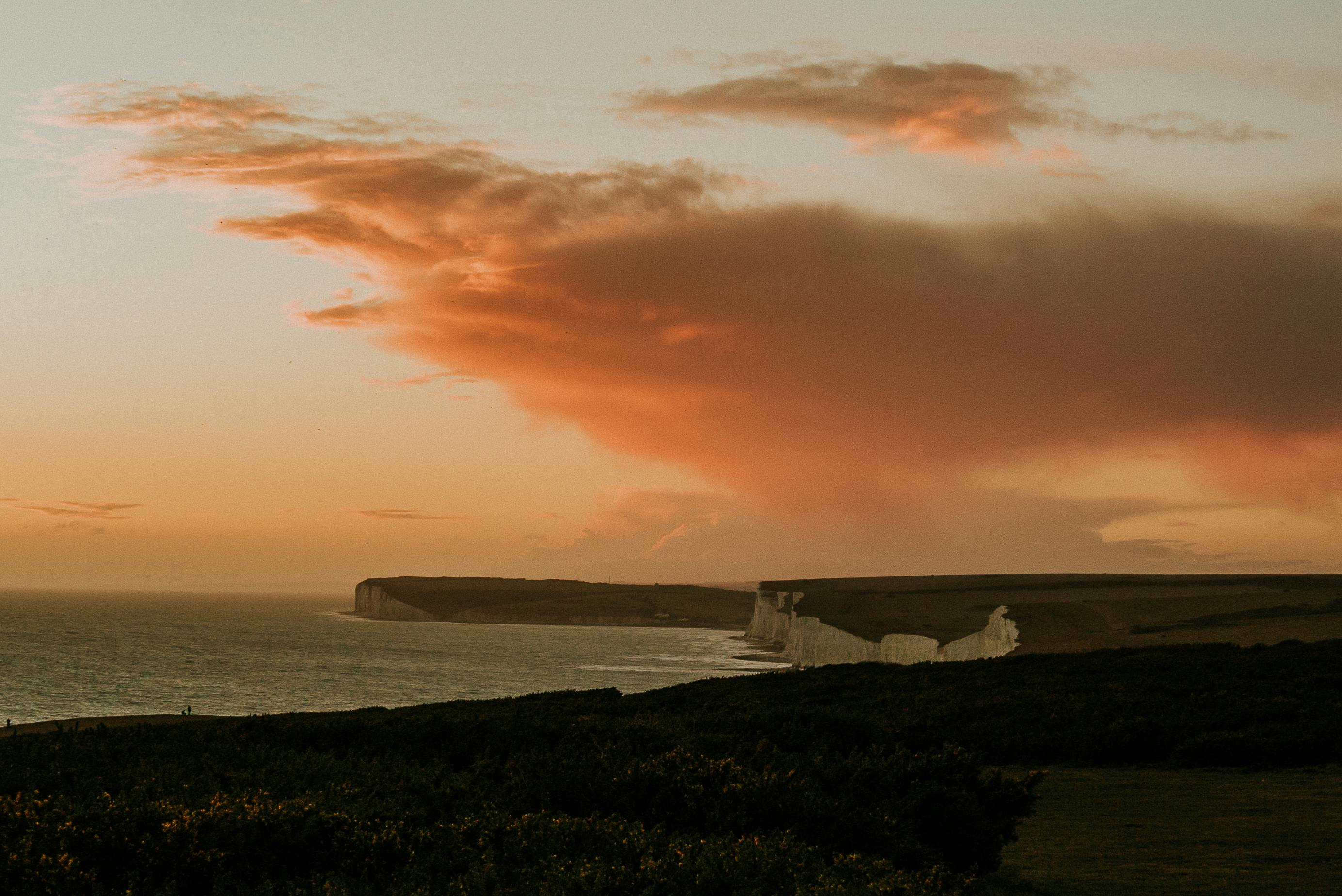 Trees and Cliff Facing Ocean · Free Stock Photo