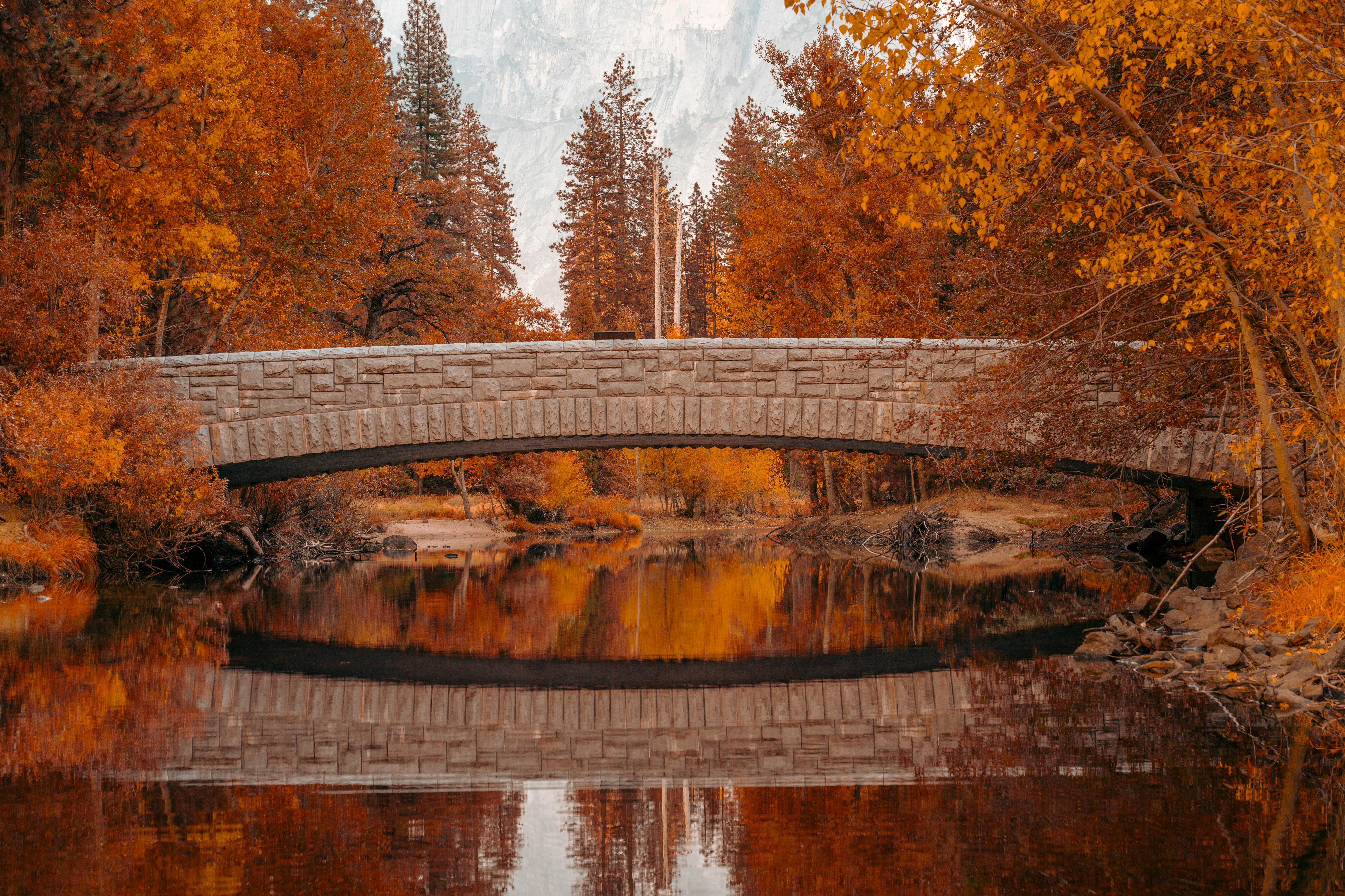 Serene Bridge over Autumn River Scene · Free Stock Photo