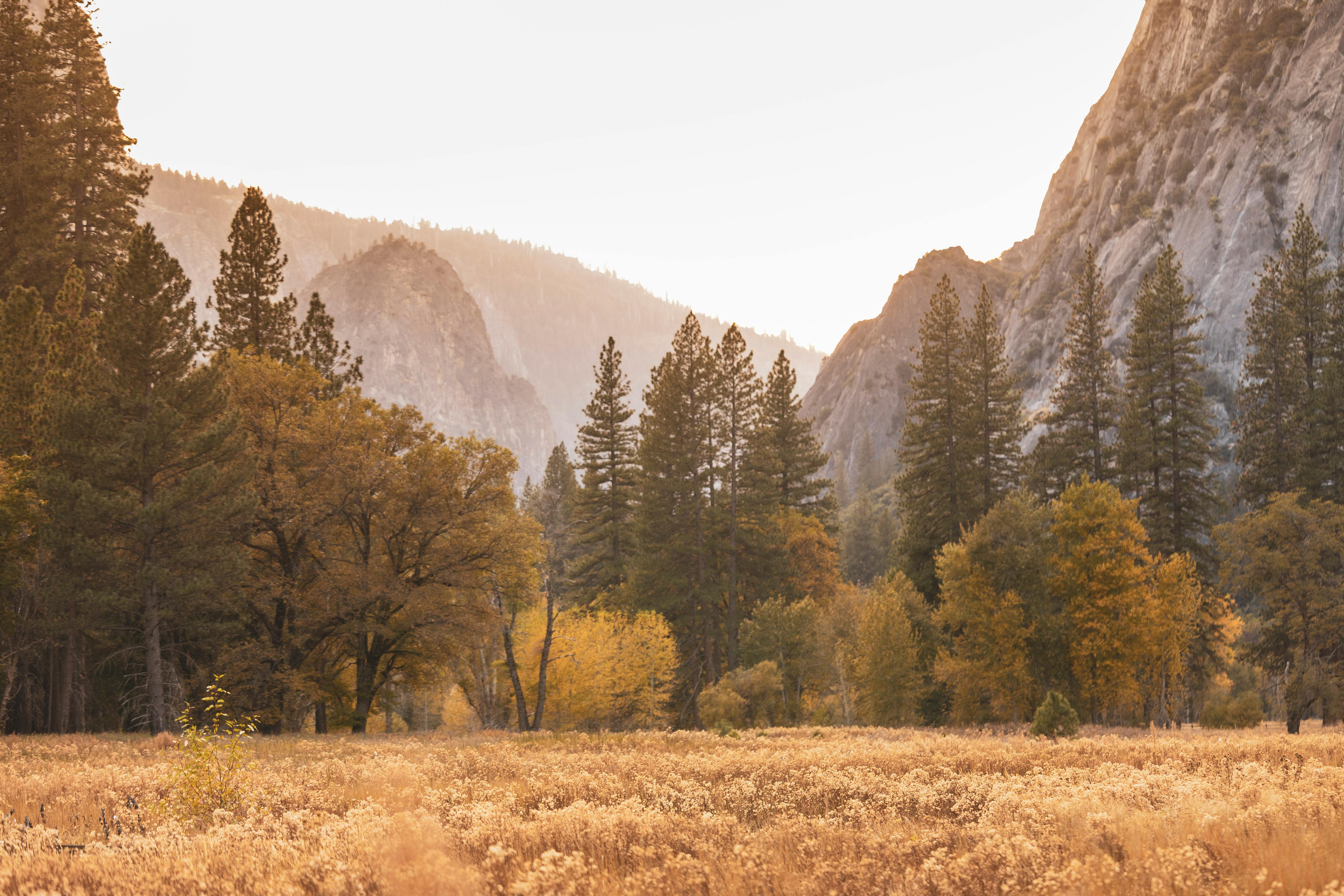 Sereen Herfstlandschap In Yosemite Valley · Gratis stockfoto