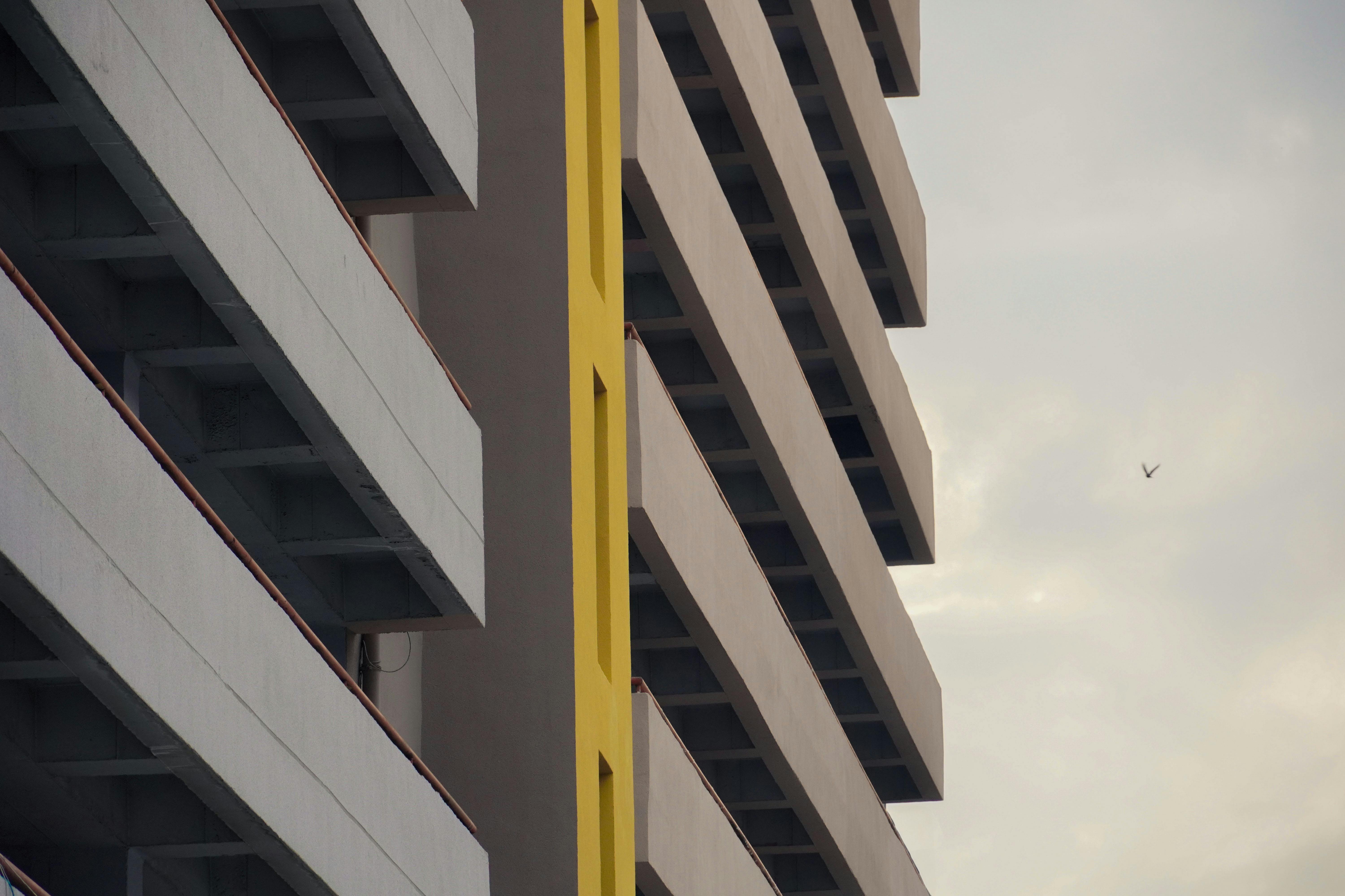 Bird Window Strikes Photos, Download The BEST Free Bird Window Strikes ...