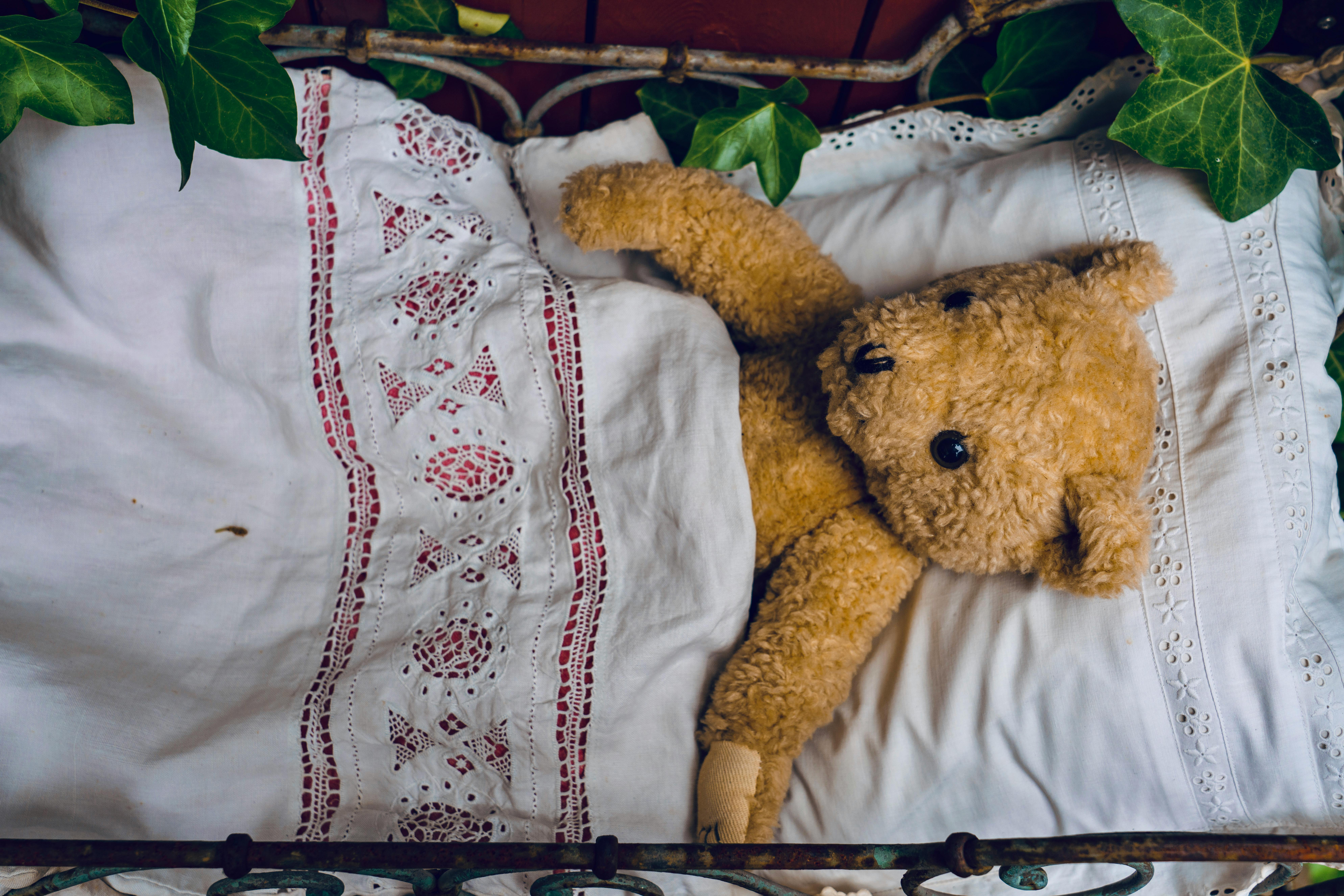 Textures Rest Photos, Download The BEST Free Textures Rest Stock Photos ...