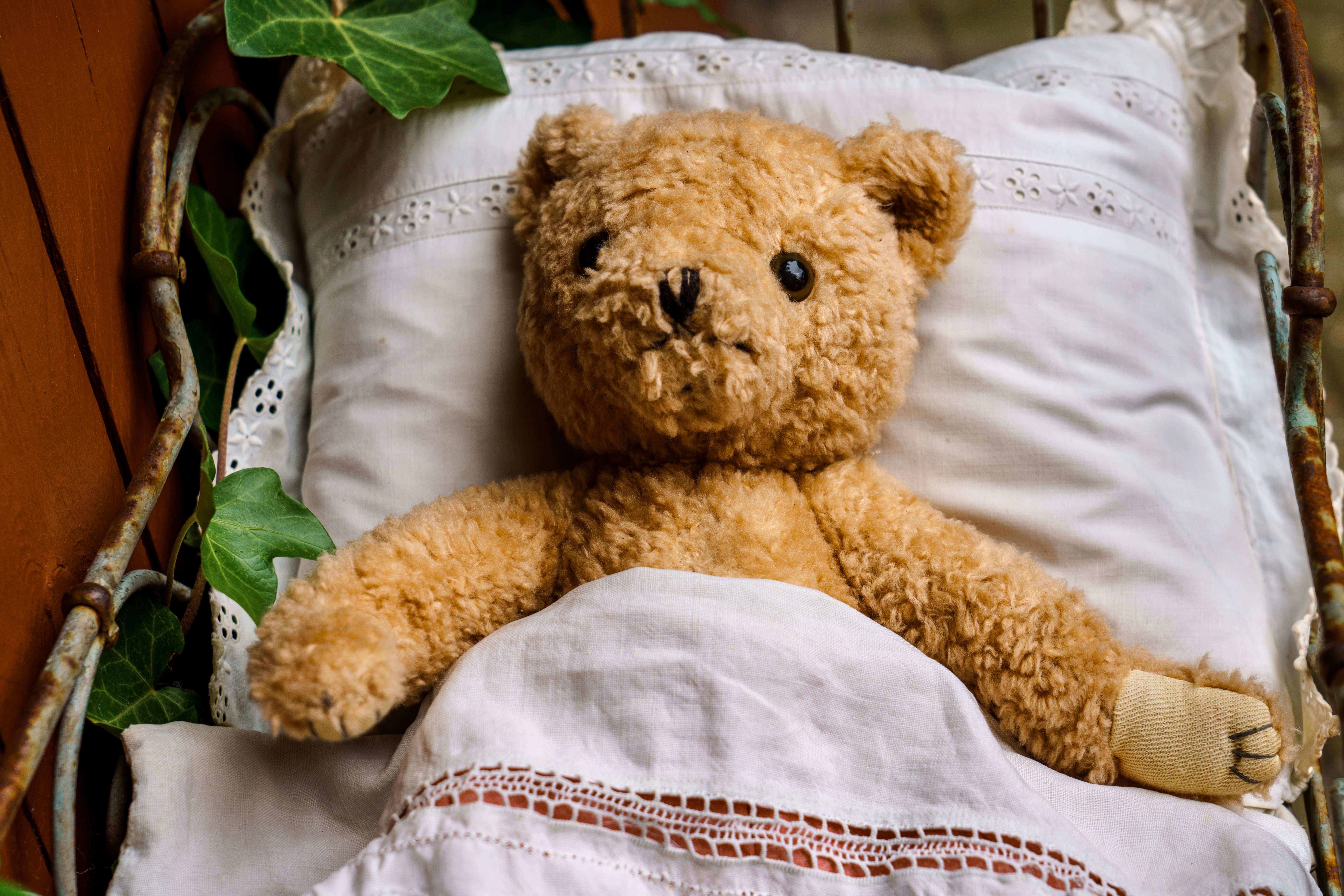 Vintage Teddy Bear in a Rustic Crib Setting · Free Stock Photo