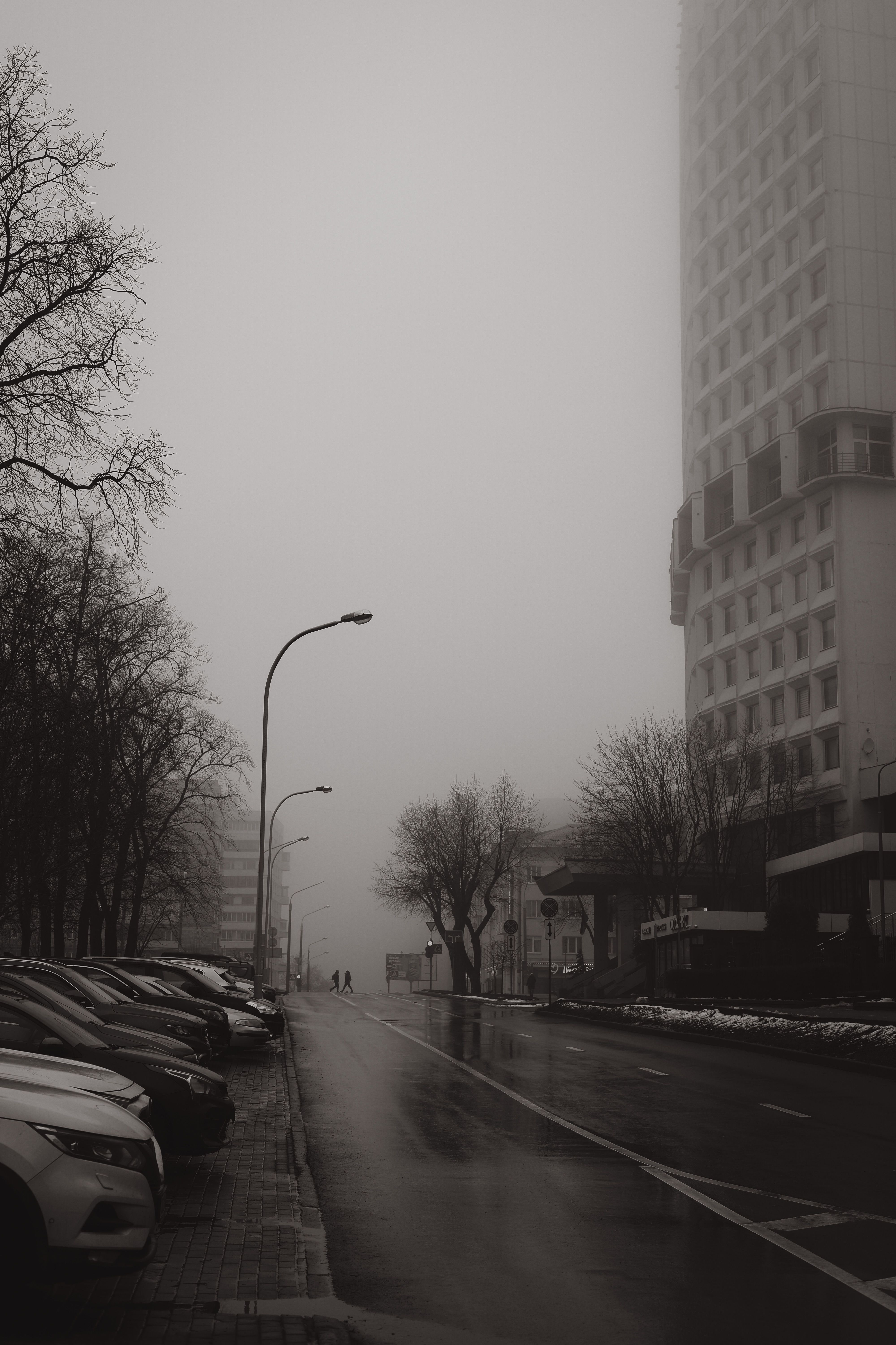Foggy Urban Street with Skyscrapers and Bare Trees · Free Stock Photo