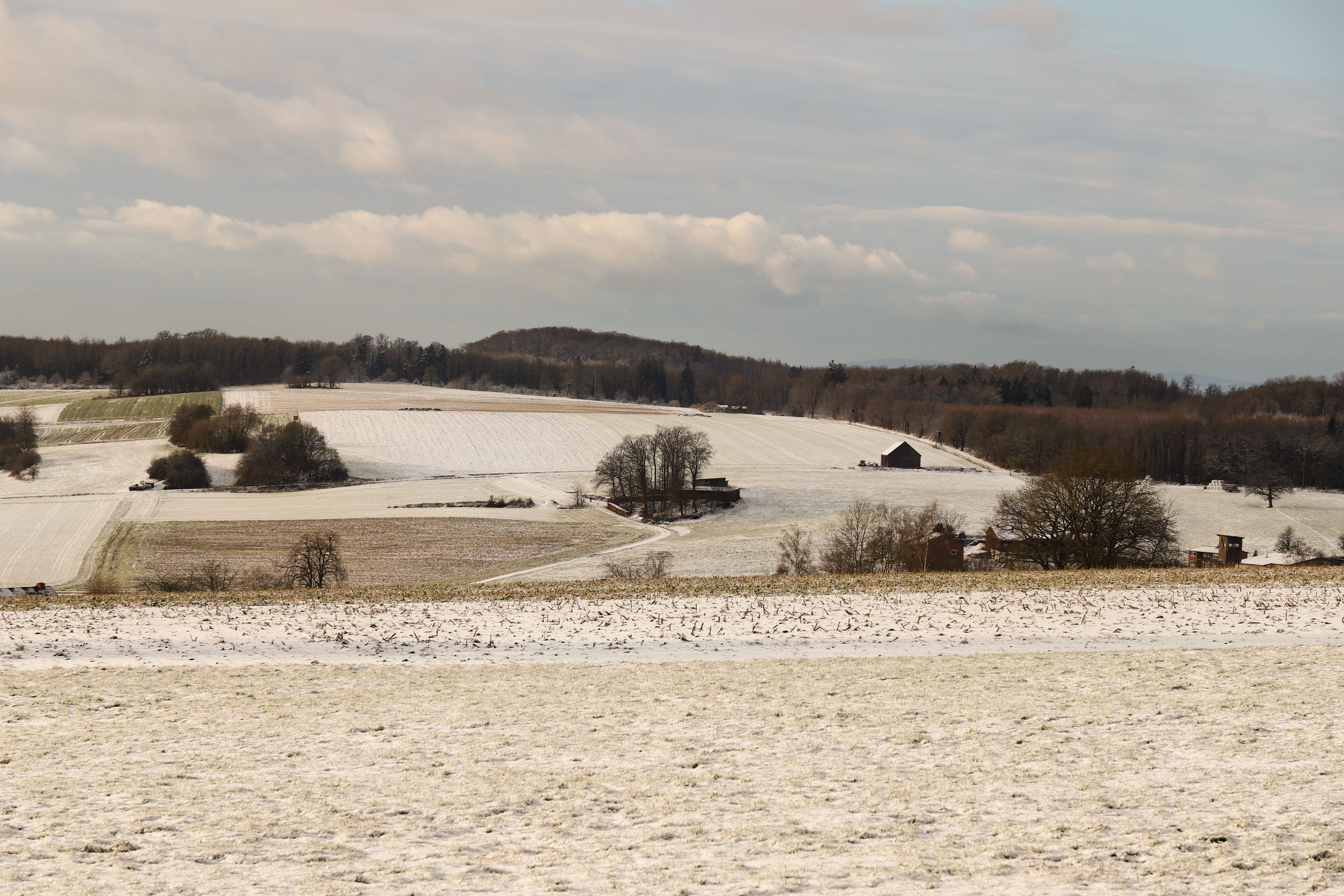 Idyllic Snow-Covered Hillside in Winter Landscape · Free Stock Photo