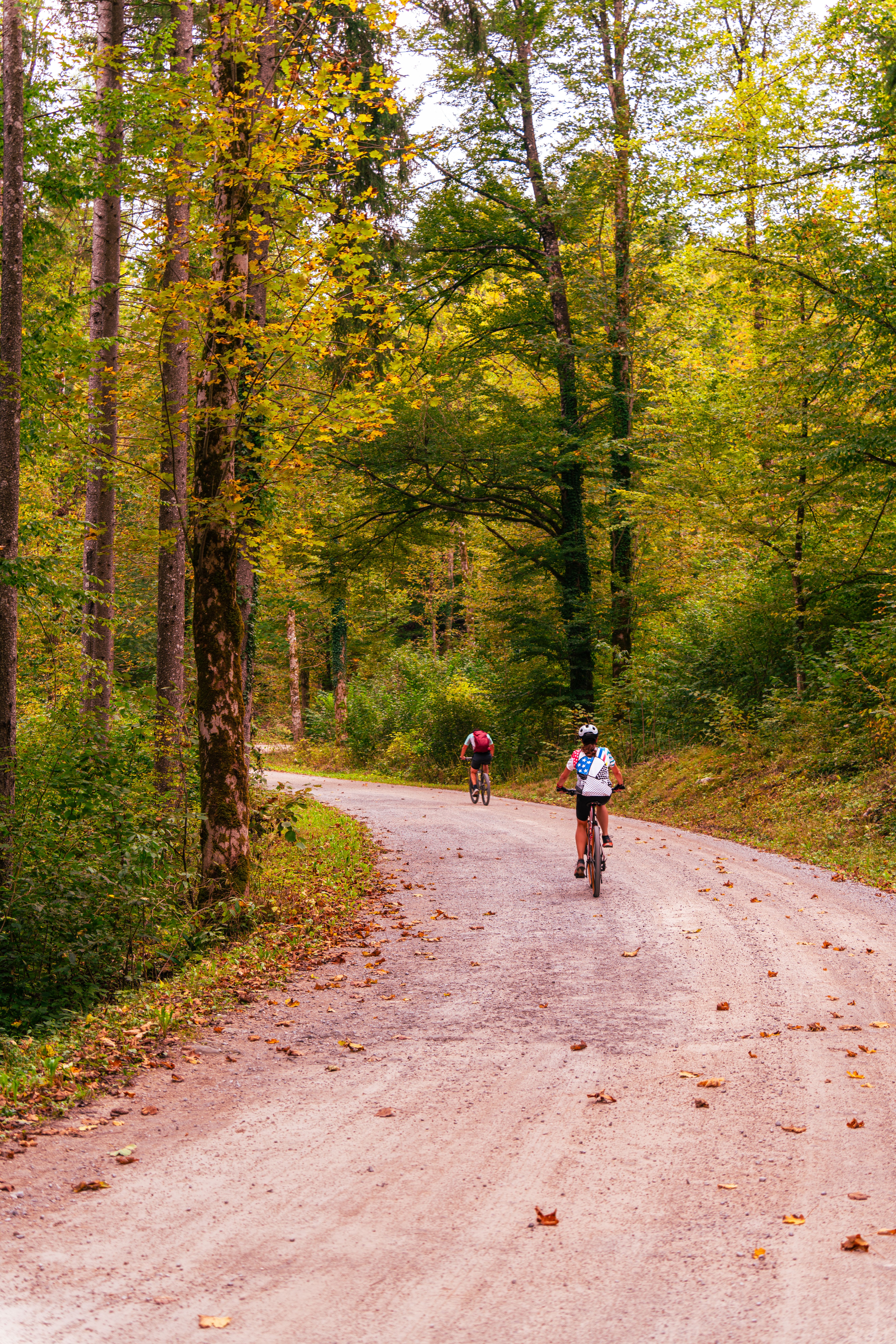 Fall Cycling Photos, Download The BEST Free Fall Cycling Stock Photos ...