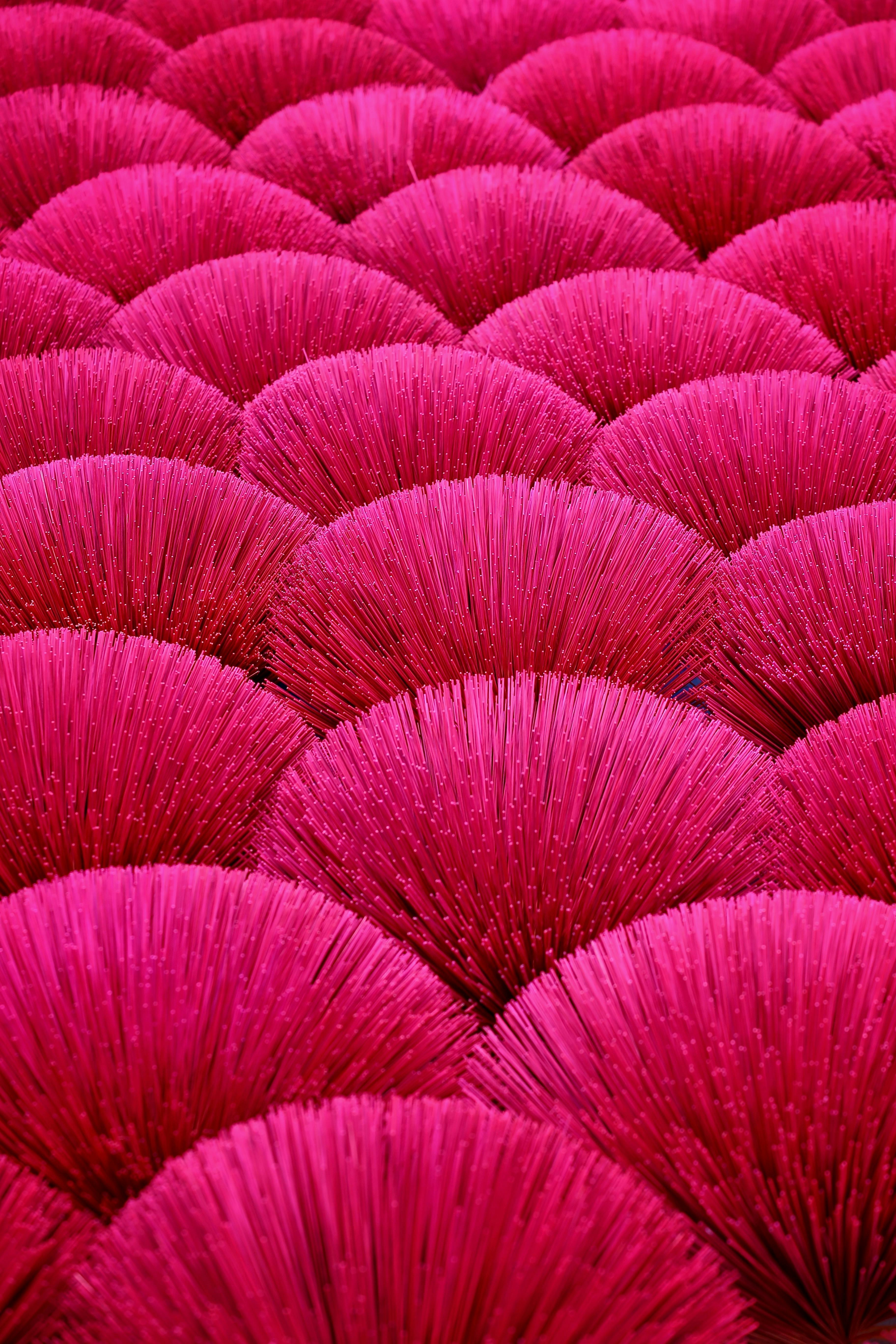 Traditional Red Incense Sticks Drying Outdoors · Free Stock Photo