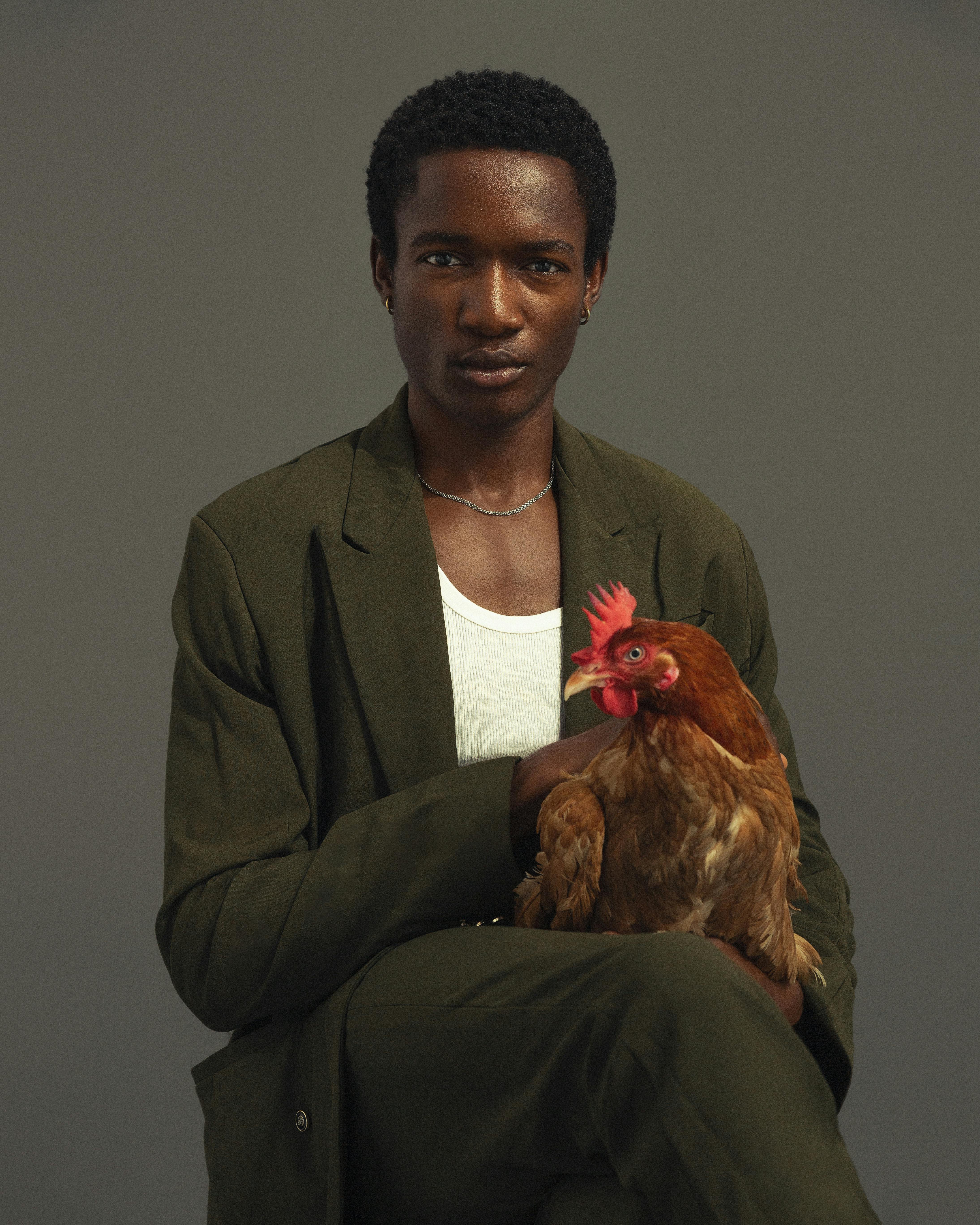 Chicken Pose Photos, Download The BEST Free Chicken Pose Stock Photos ...