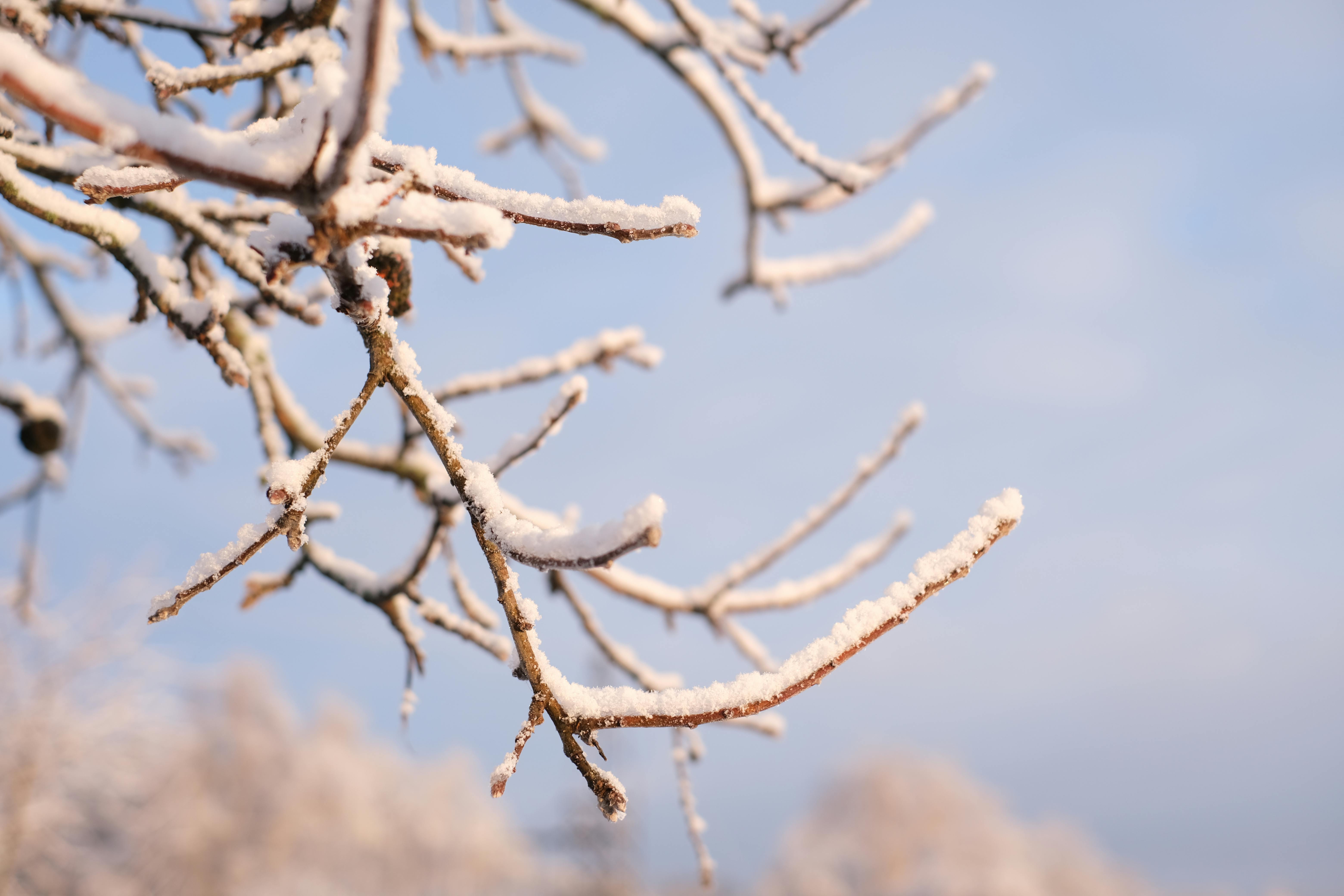 Clear Texture Photos, Download The BEST Free Clear Texture Stock Photos ...