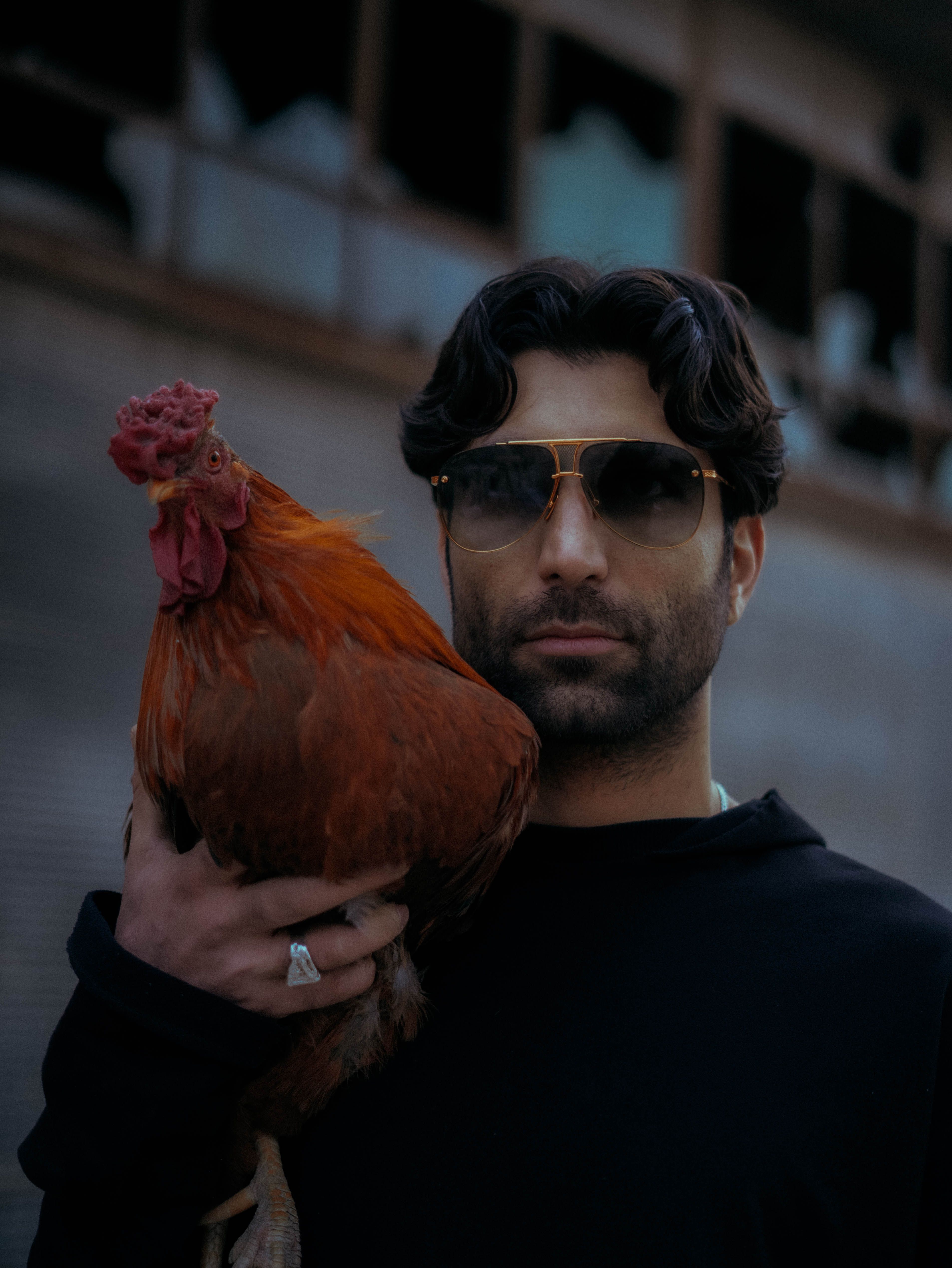 Portrait of Man Holding a Red Rooster Outdoors · Free Stock Photo