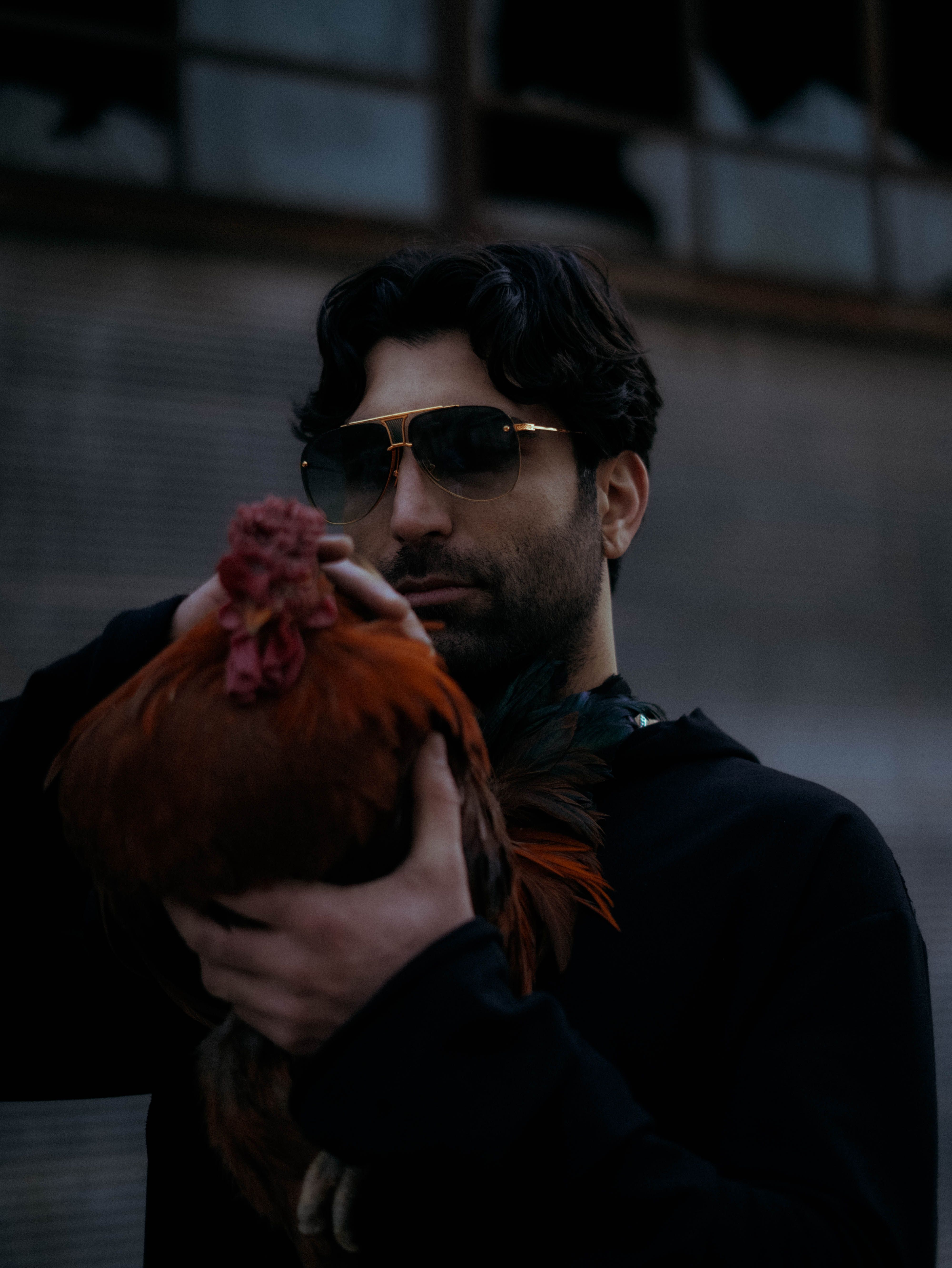 Hombre Sosteniendo Un Gallo En Un Entorno Urbano · Foto de stock gratuita