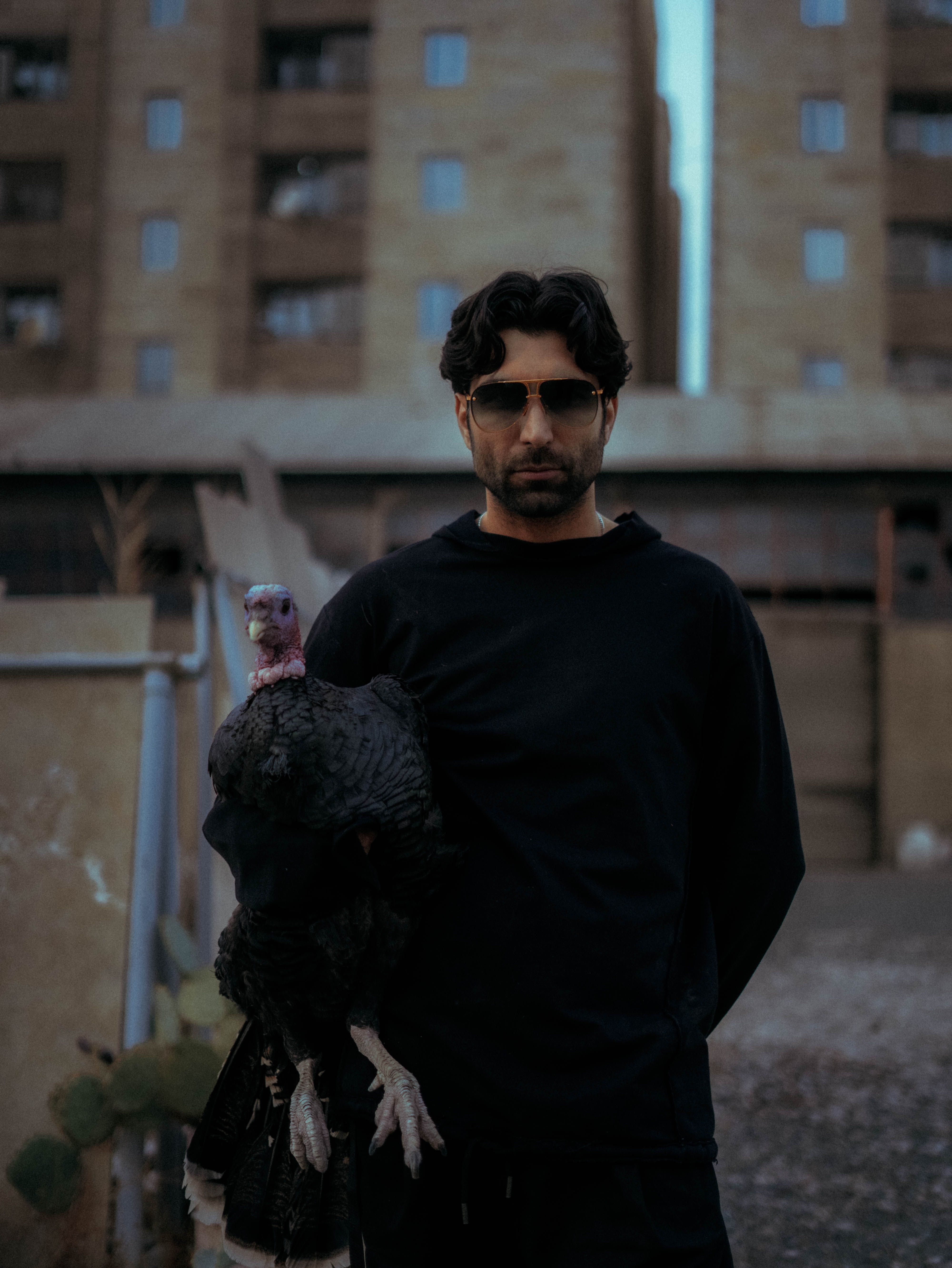 Man Holding a Black Turkey in Urban Setting · Free Stock Photo
