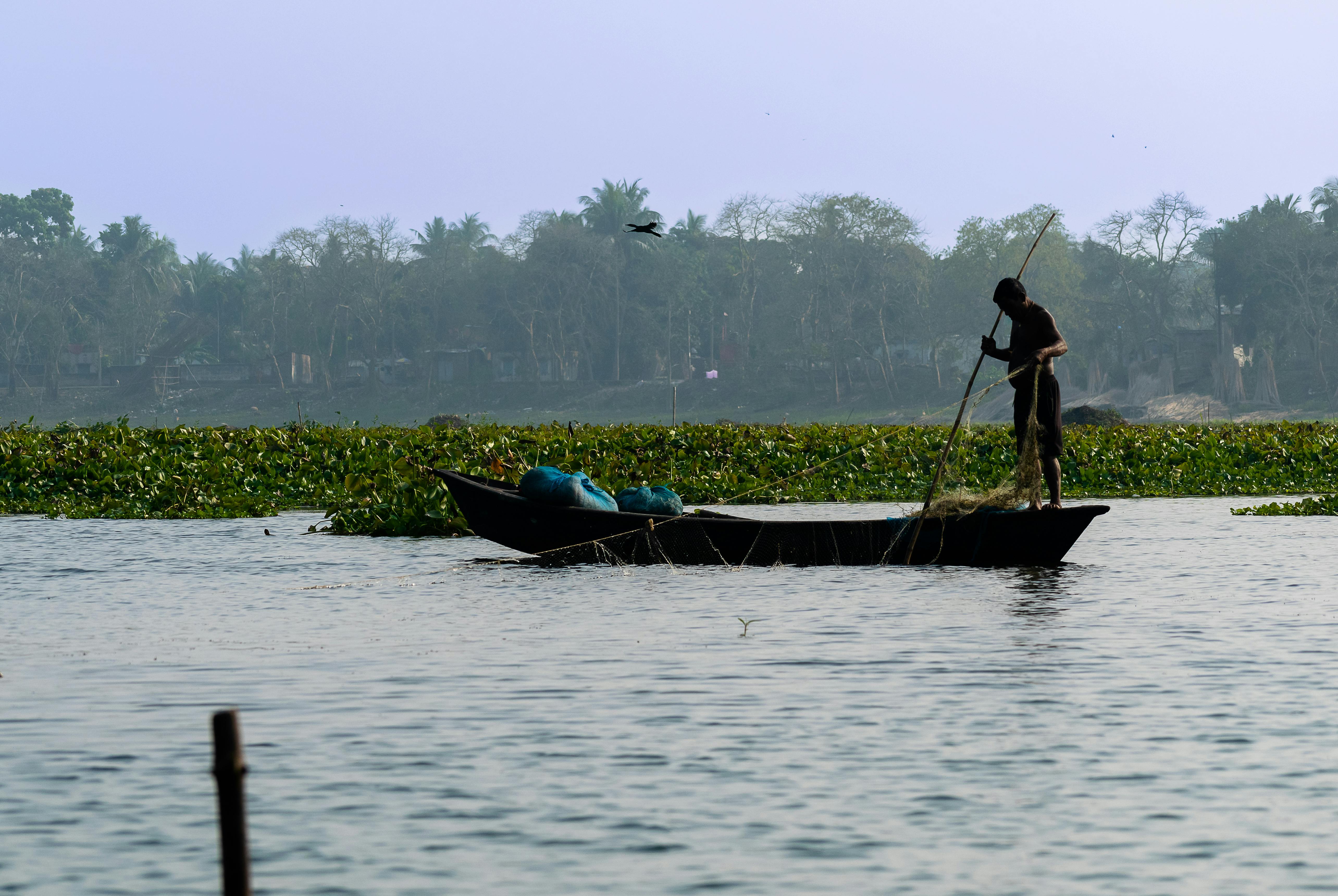 Fise Photos, Download The BEST Free Fise Stock Photos & HD Images