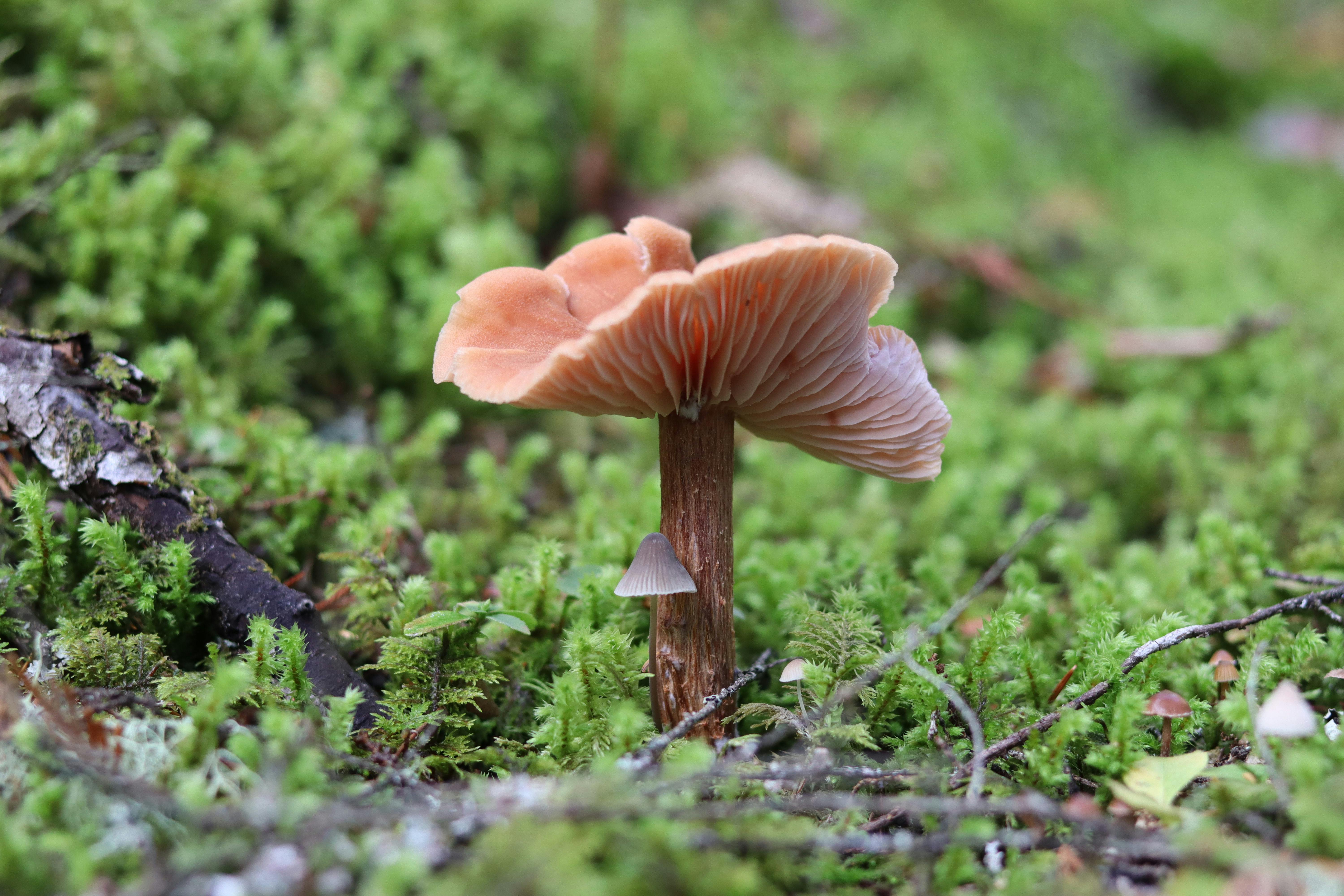 Stocks Fall Photos, Download The BEST Free Stocks Fall Stock Photos ...