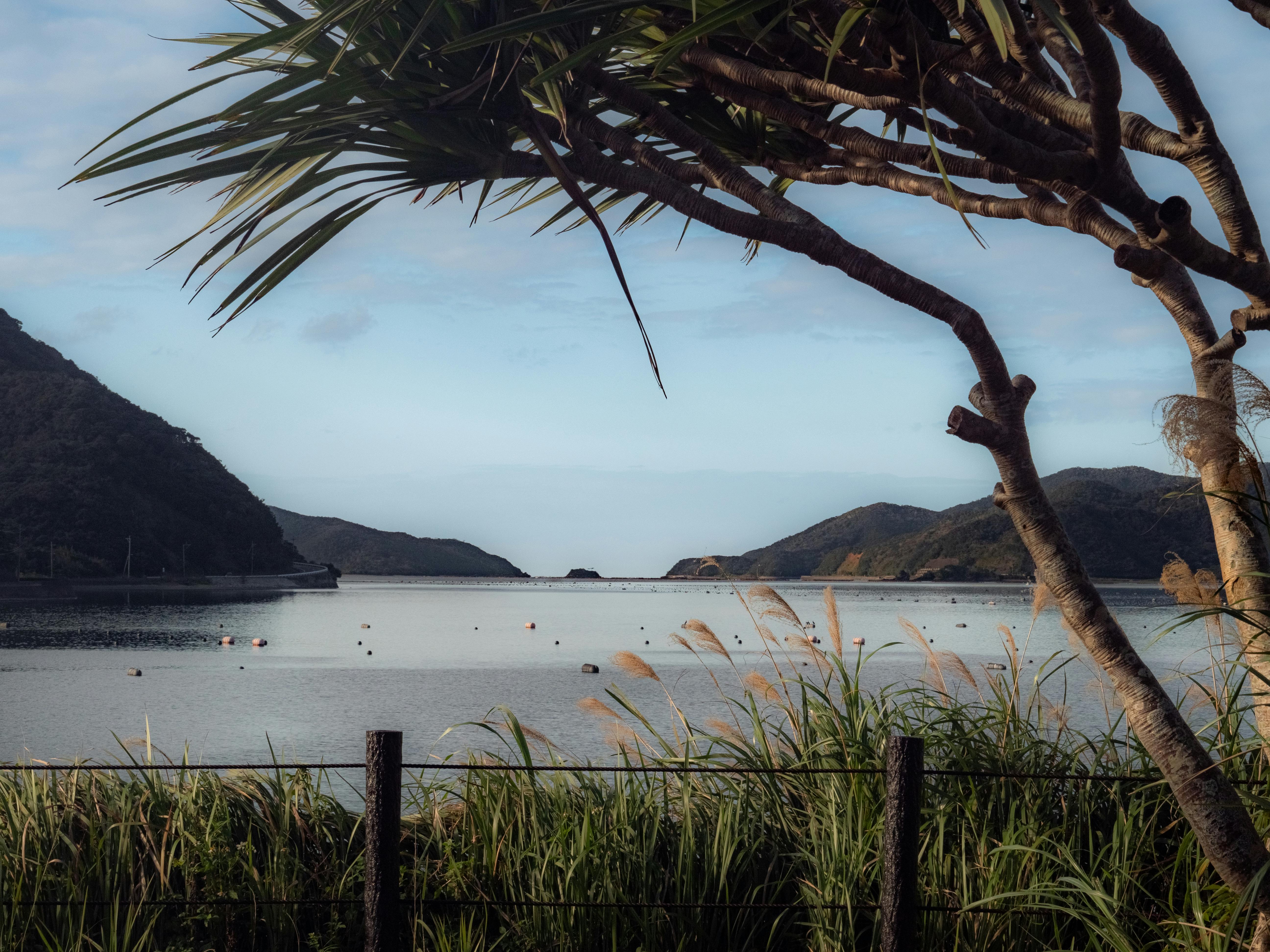 Scenic View of Amami Island's Coastal Serenity · Free Stock Photo
