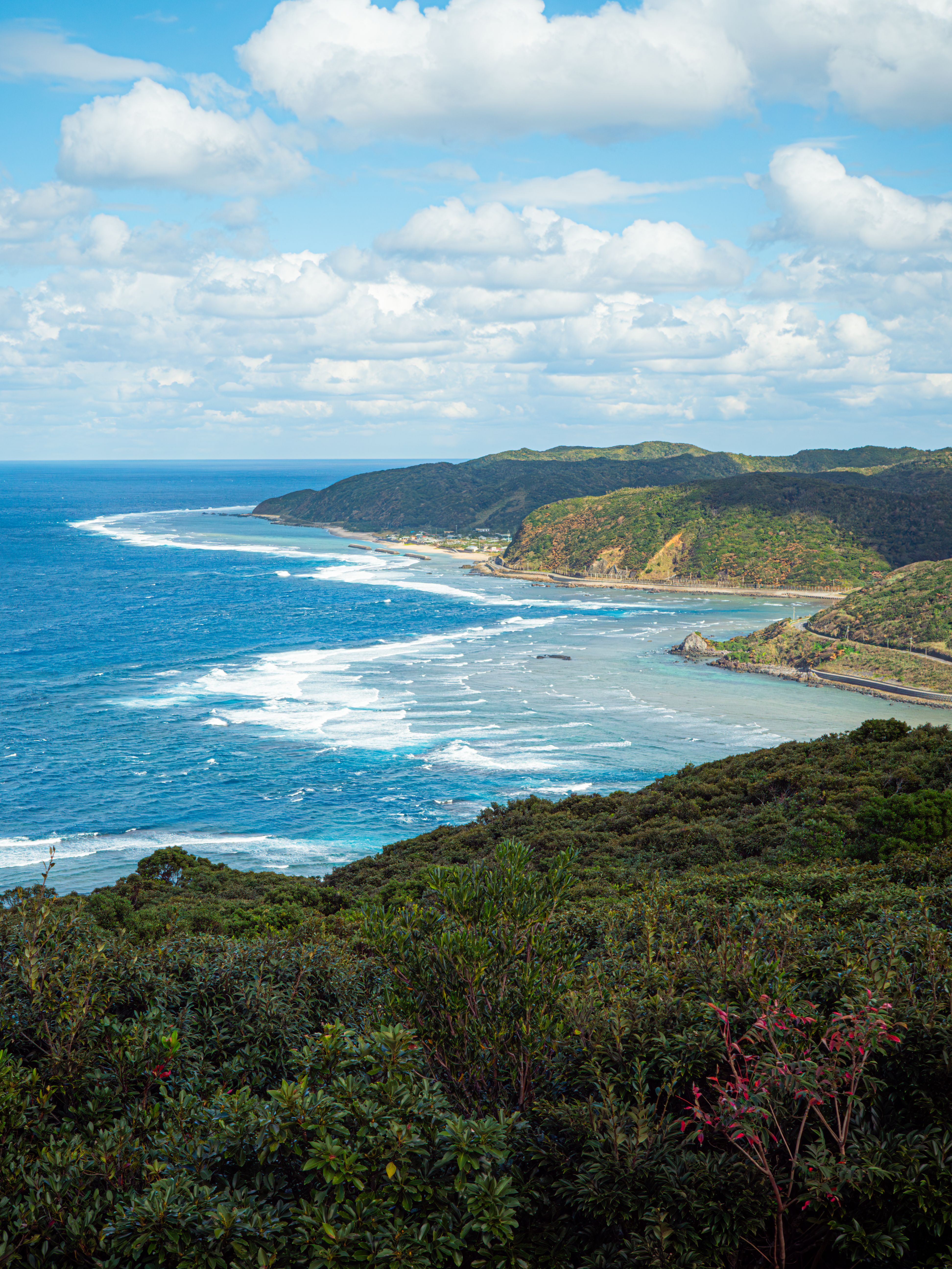 Scenic Coastline View from Amami, Japan · Free Stock Photo