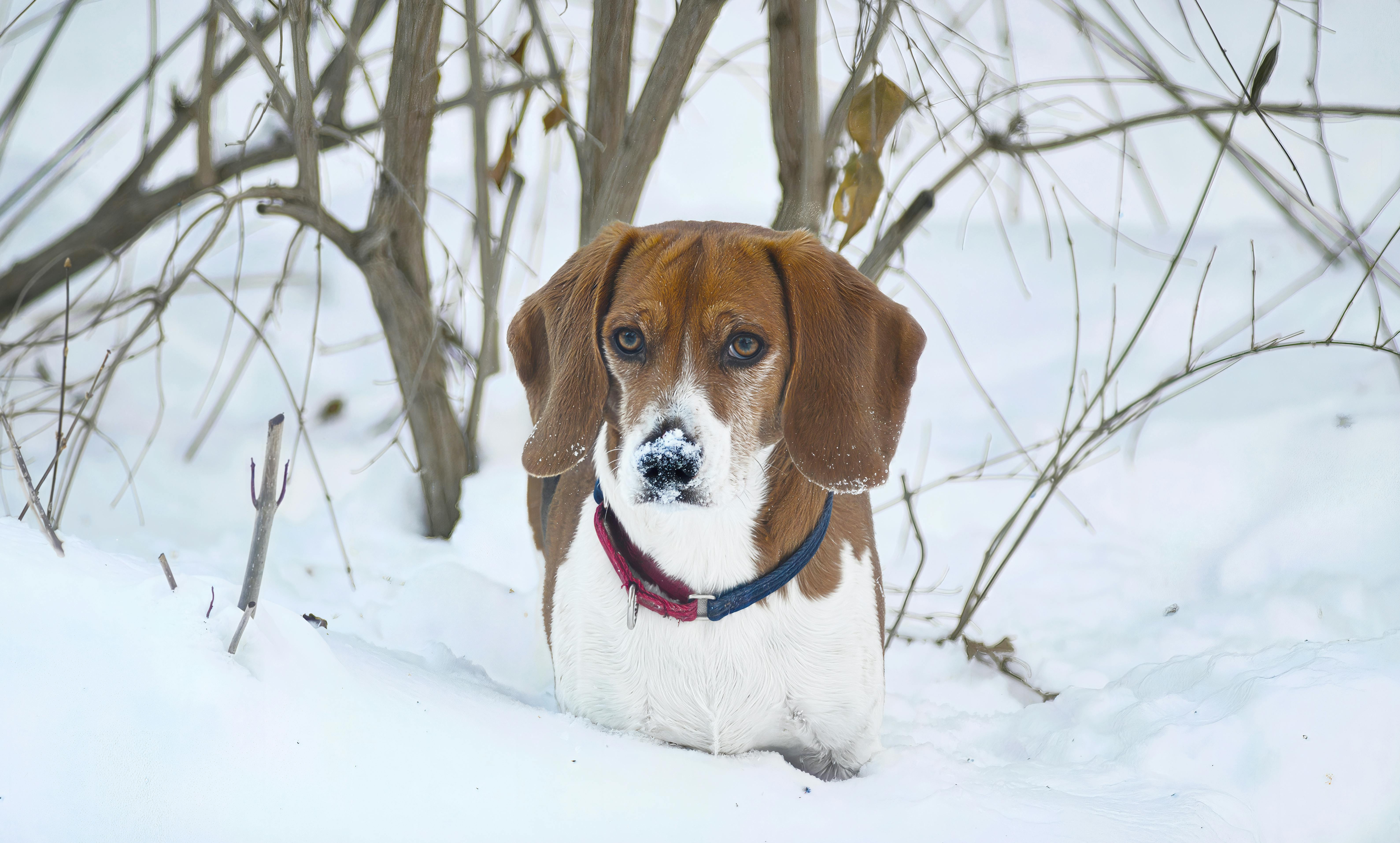 Best Value Photos, Download The BEST Free Best Value Stock Photos & HD ...