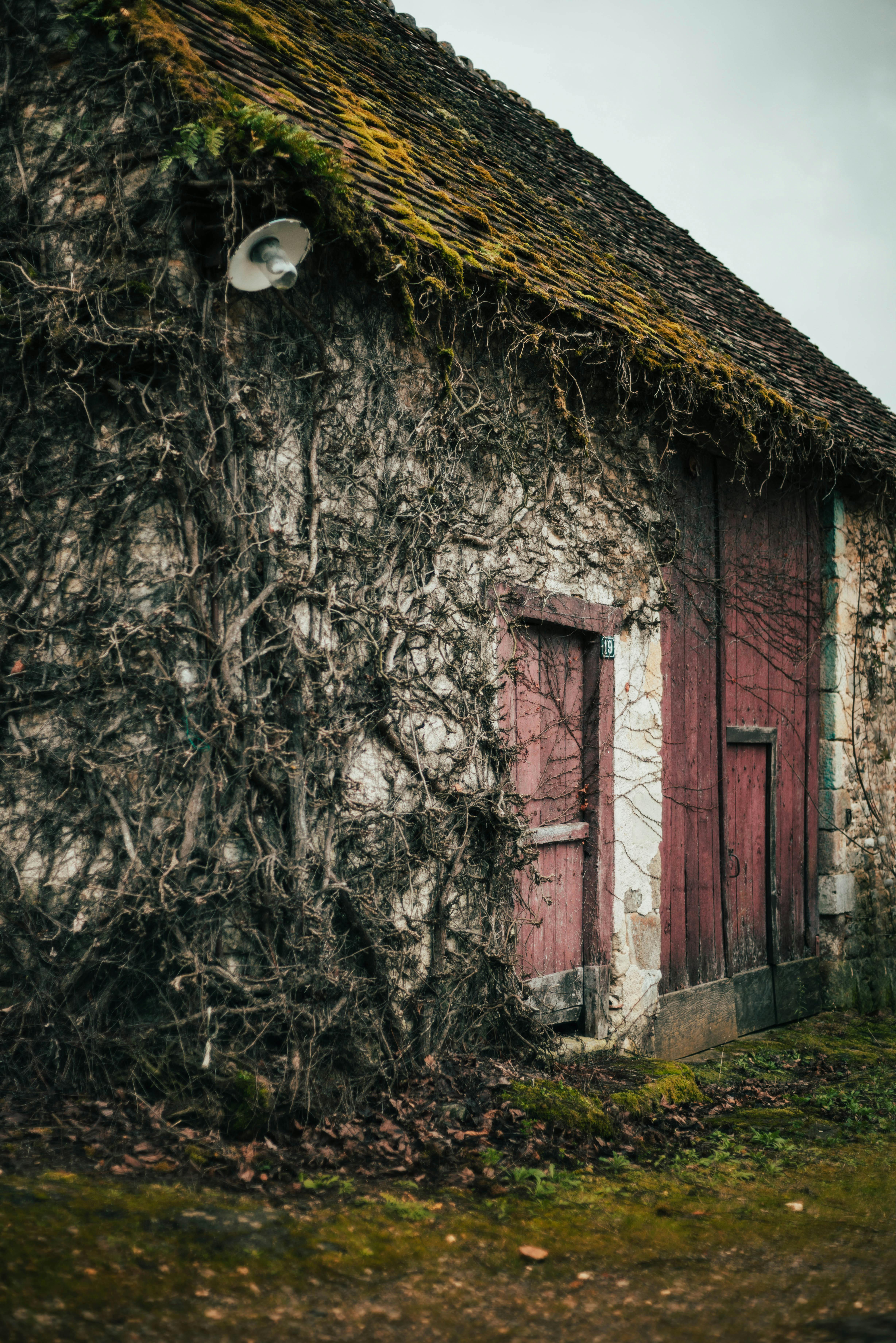 Rustic Overgrown Barn with Mossy Roof · Free Stock Photo