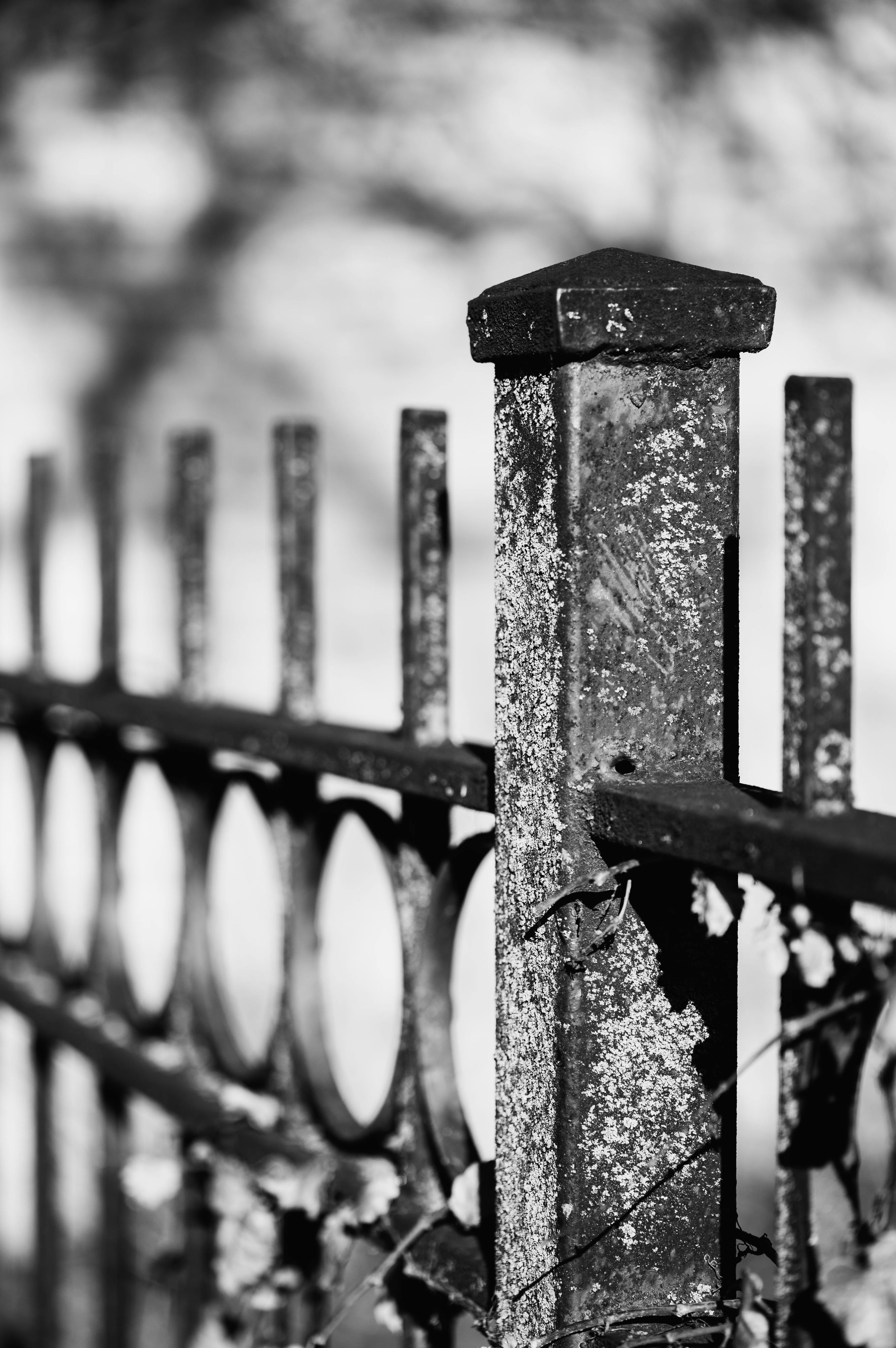 Rust Detailed Photos, Download The BEST Free Rust Detailed Stock Photos ...