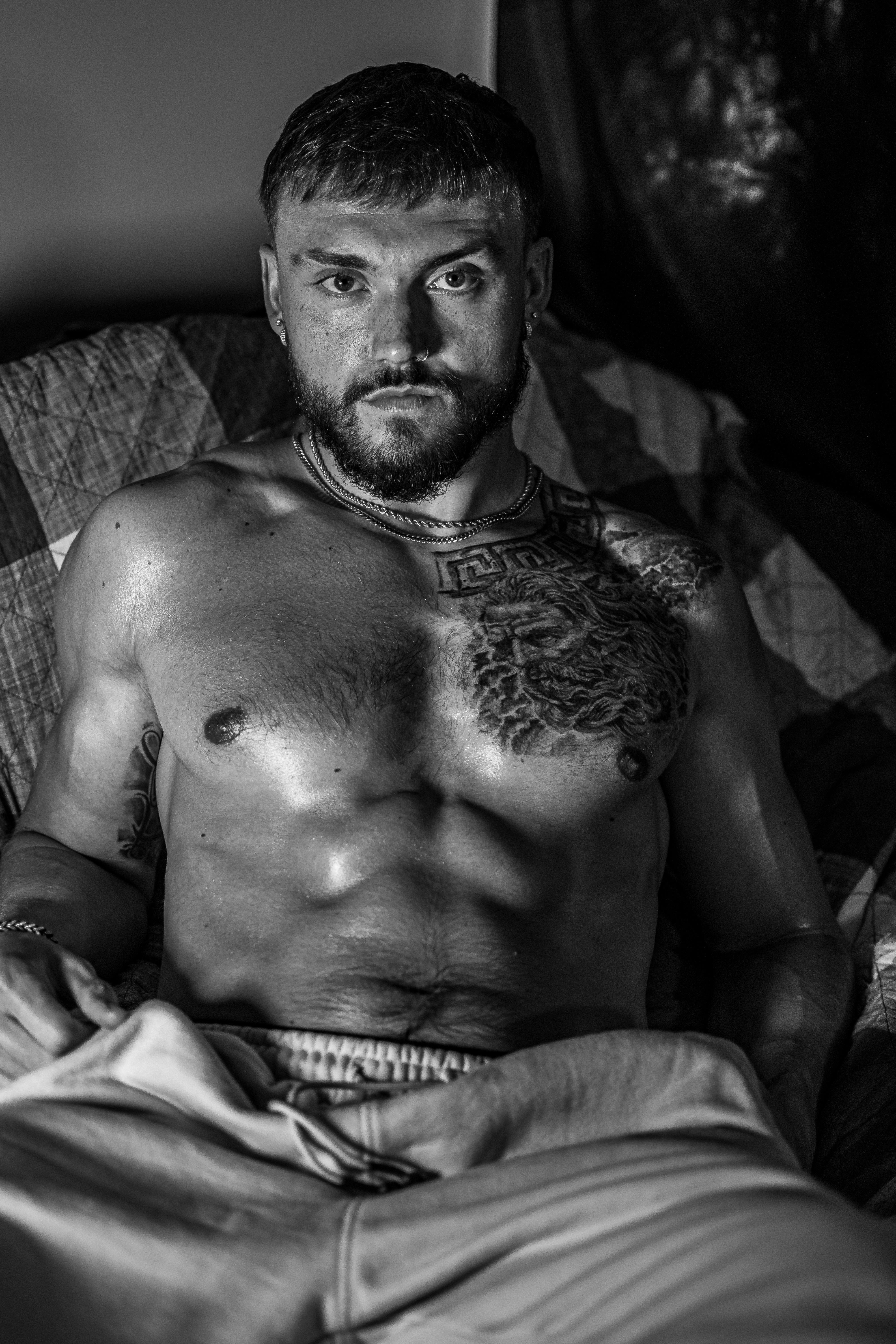 Bodybuilding Pig Photos, Download The BEST Free Bodybuilding Pig Stock ...