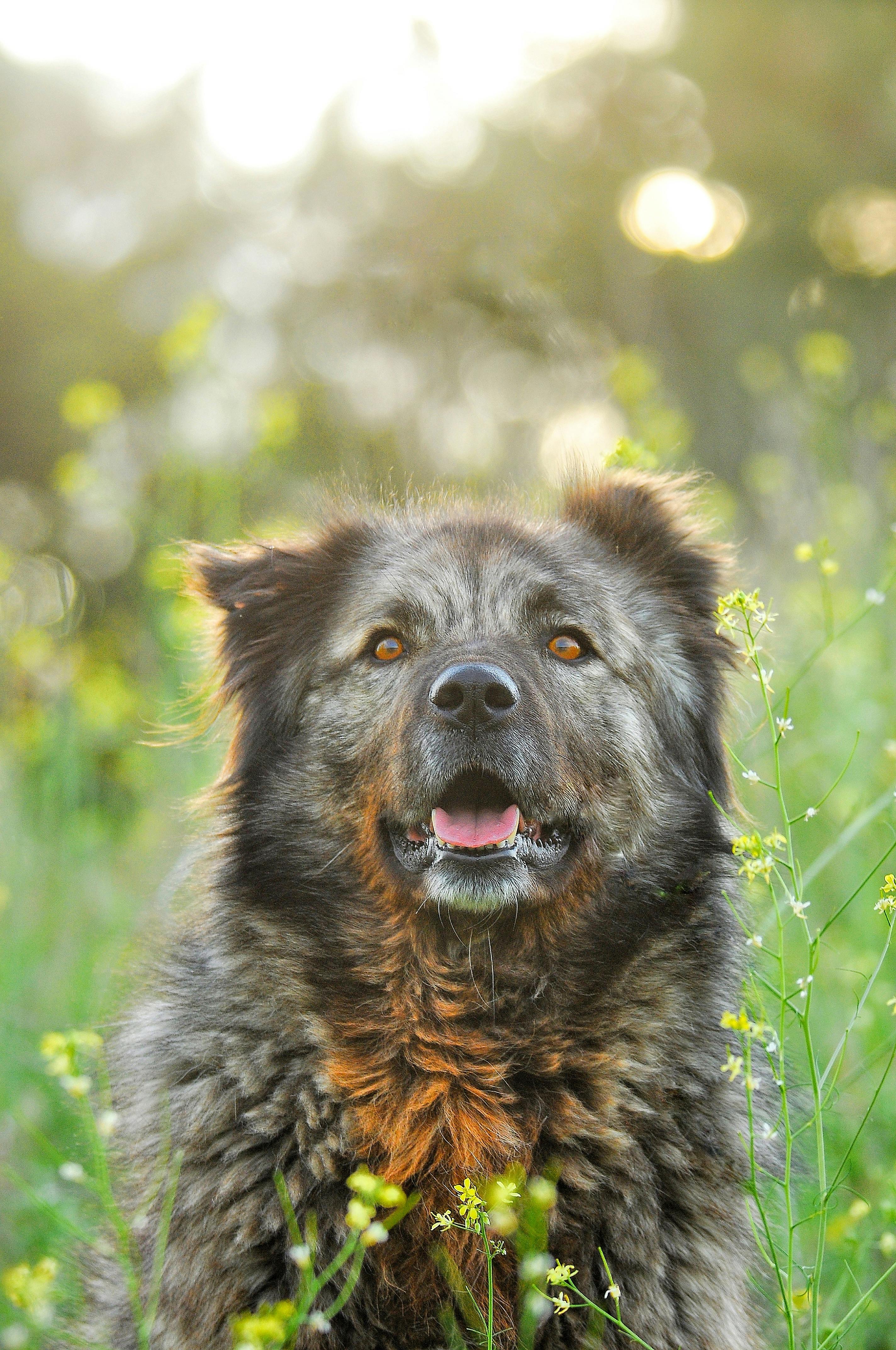 5.000+ beste Mucosa Of Van Deferens foto's · 100% gratis downloaden ...