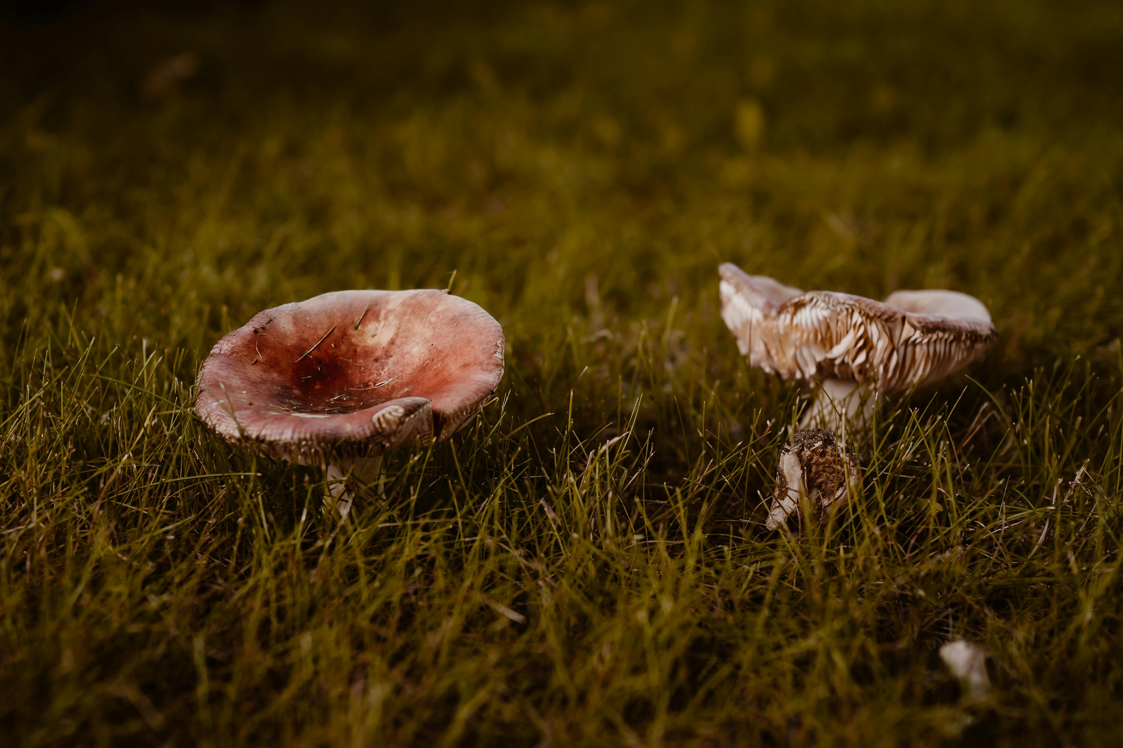 Michael Kessel - Photography